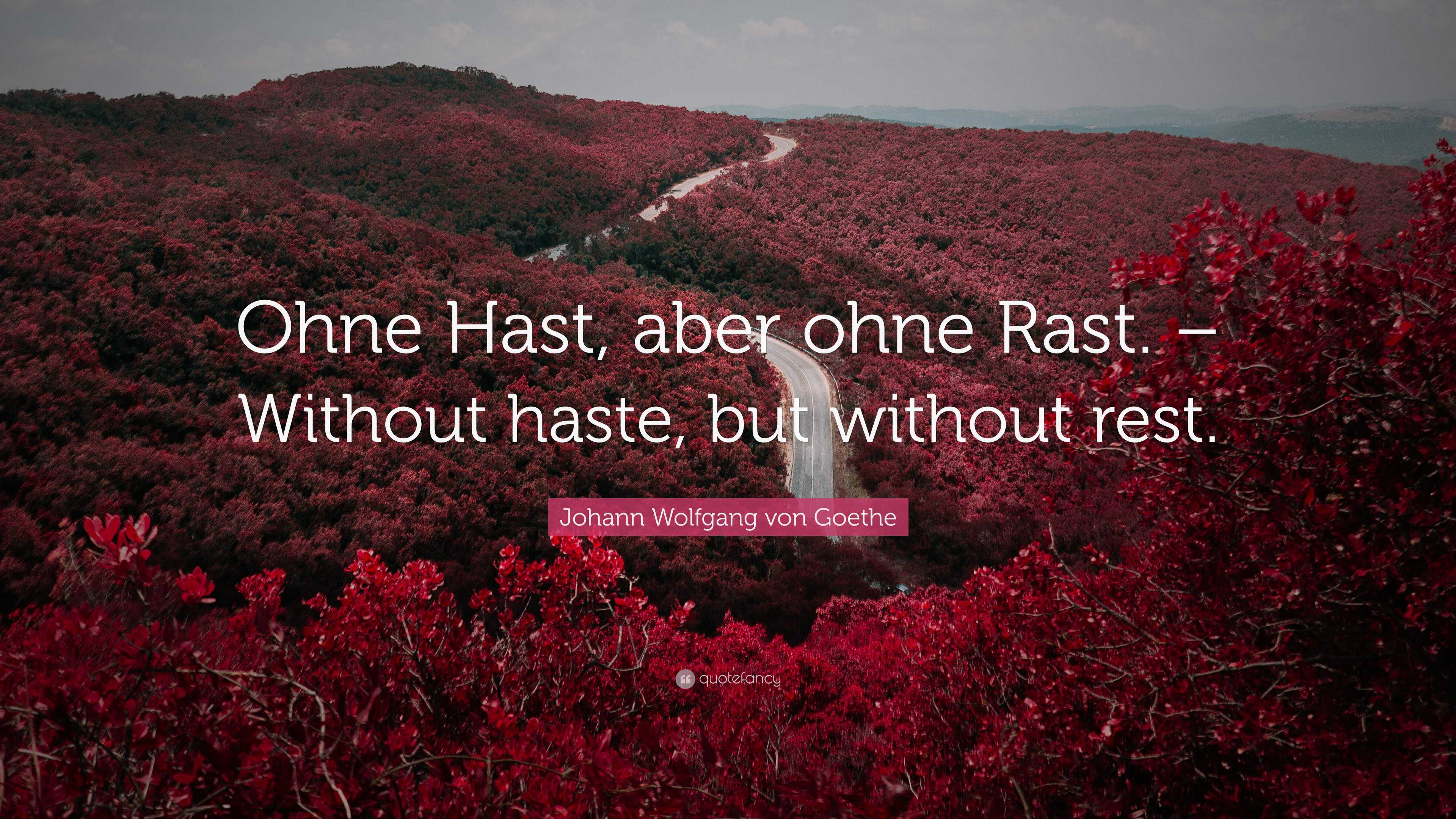 Johann Wolfgang von Goethe Quote: “Ohne Hast, aber ohne Rast. – Without ...