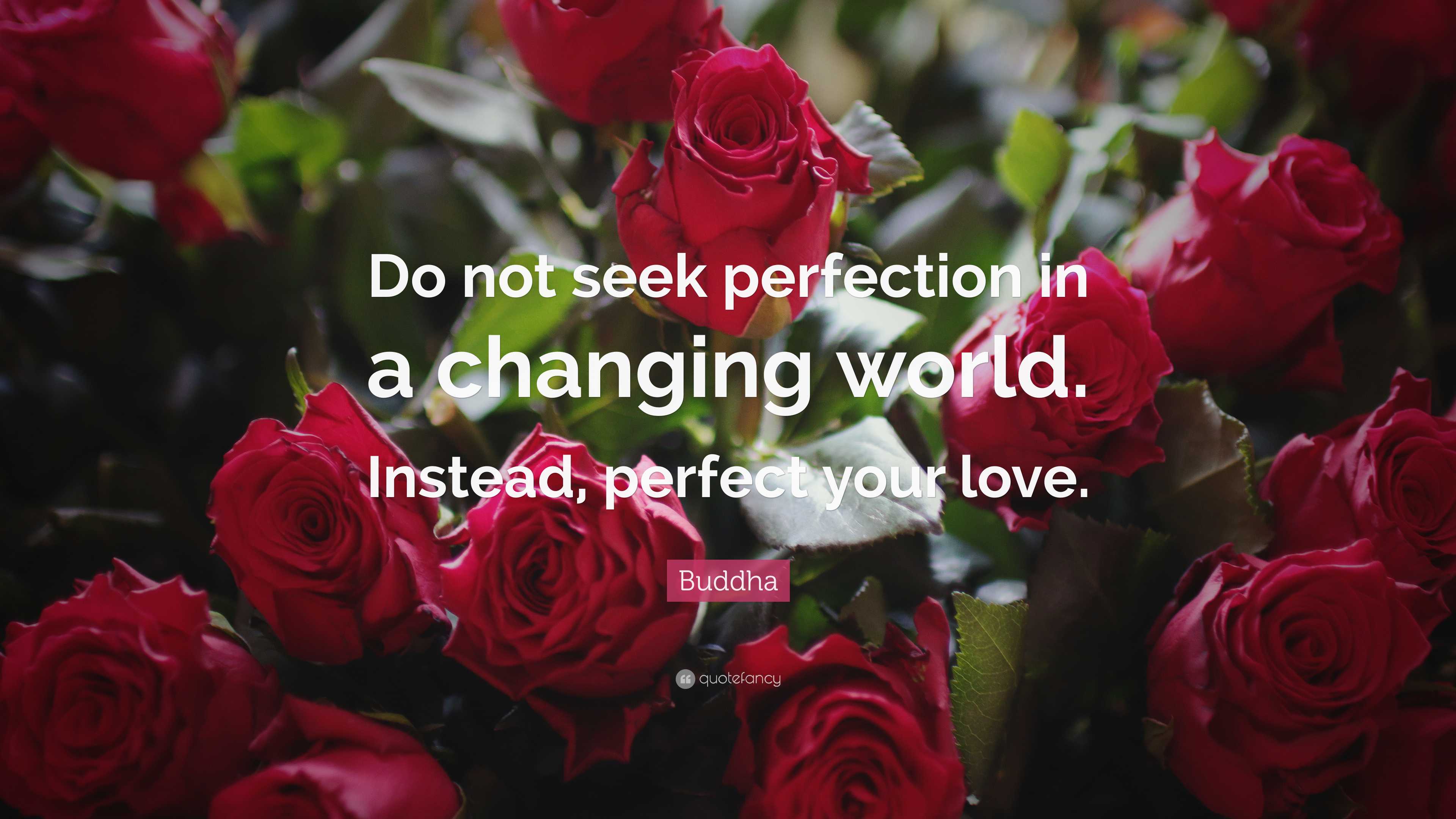 Buddha Quote: “Do not seek perfection in a changing world. Instead ...