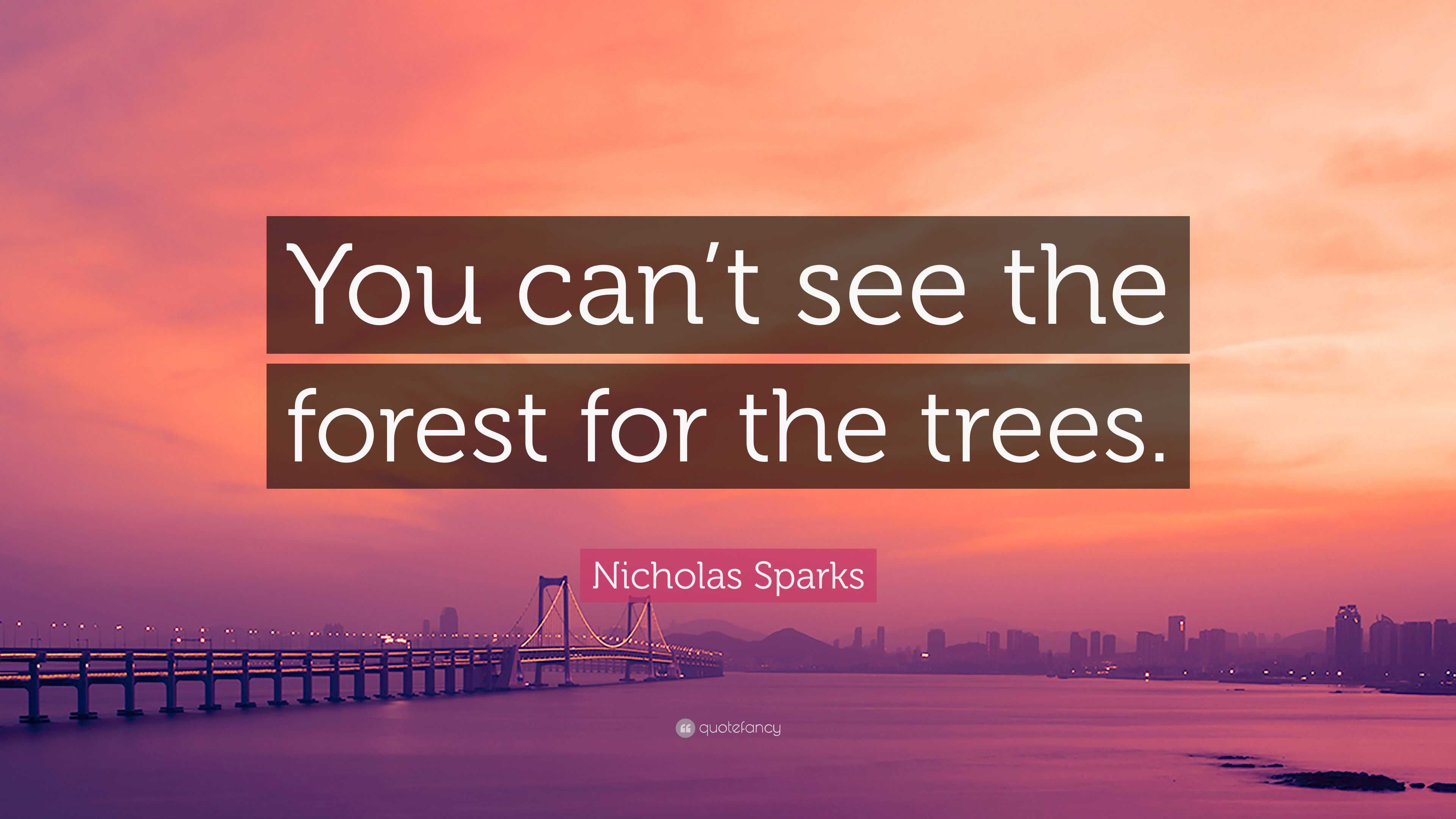 Nicholas Sparks Quote: “You can’t see the forest for the trees.”