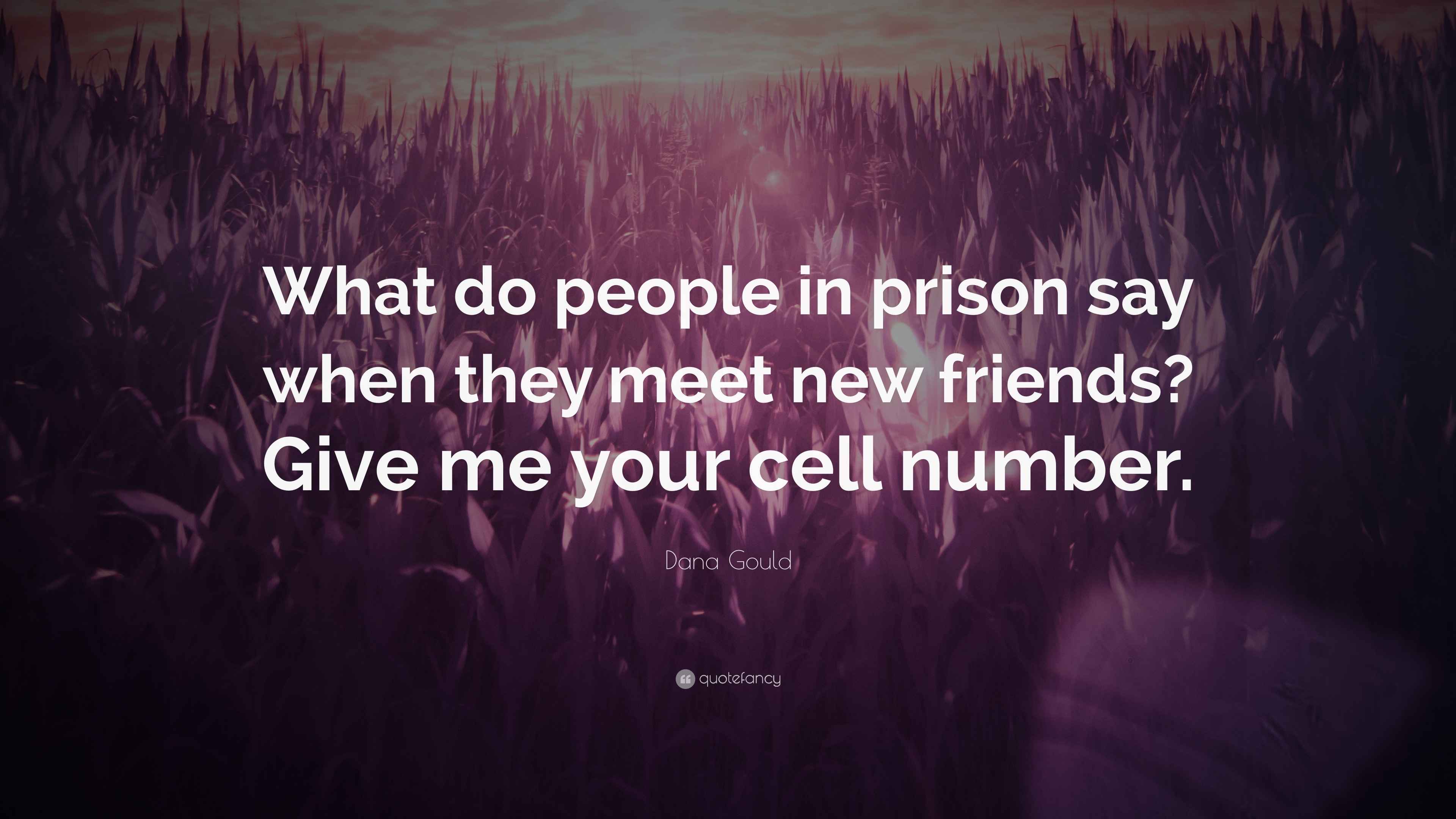Dana Gould Quote: “What do people in prison say when they meet new ...