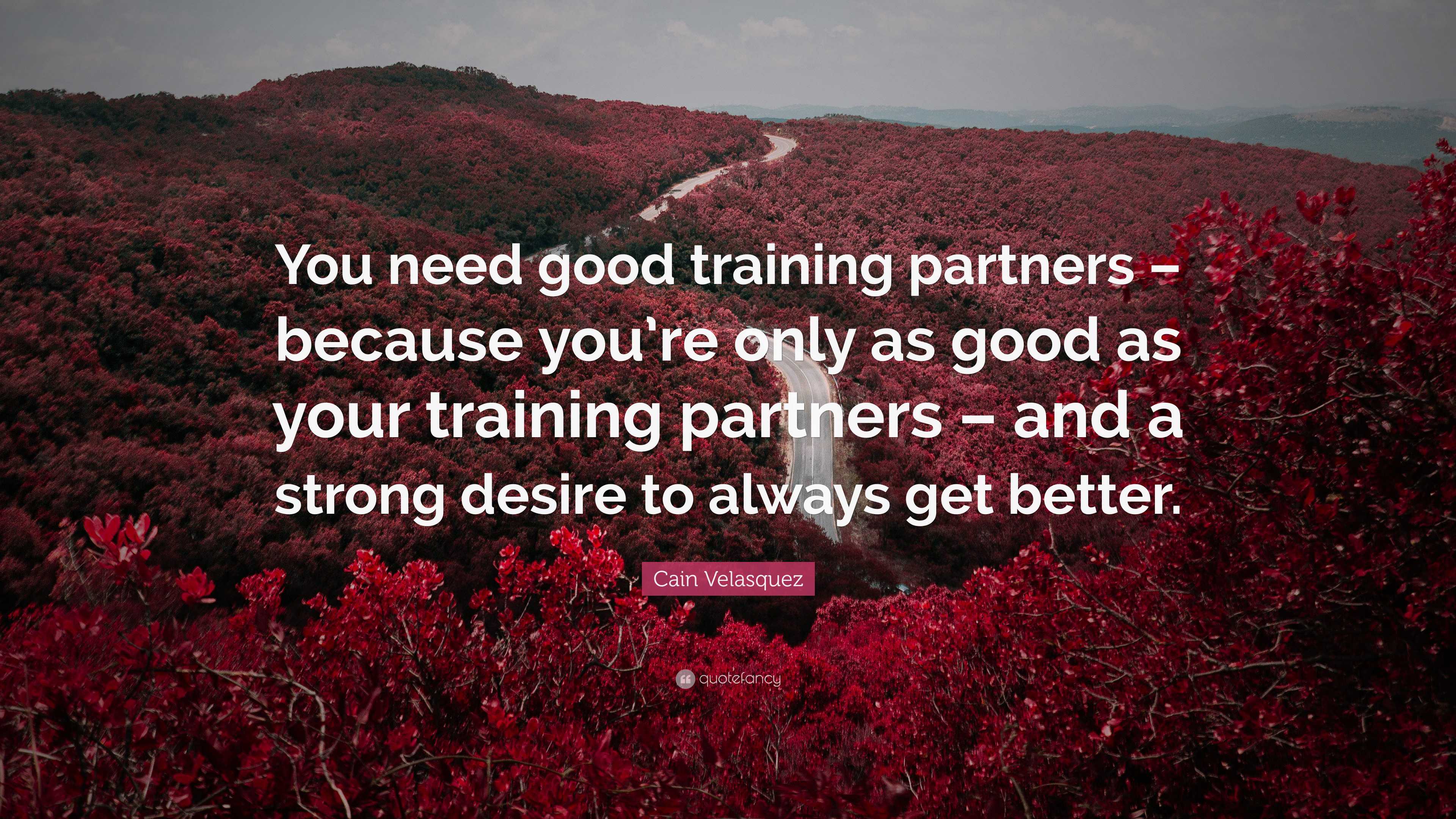 Cain Velasquez Quote: “You need good training partners – because you’re ...