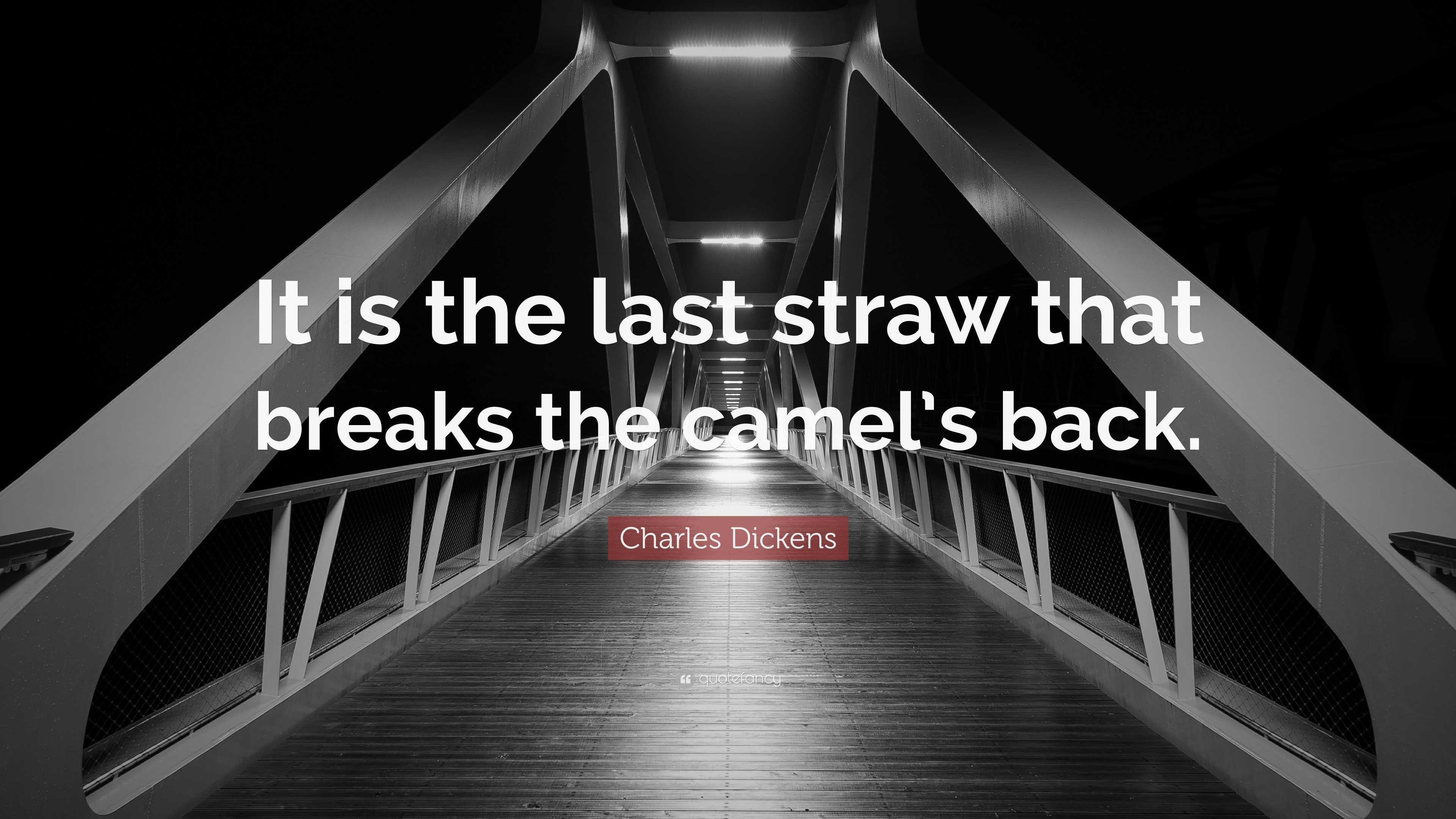Charles Dickens Quote: “It is the last straw that breaks the camel’s back.”