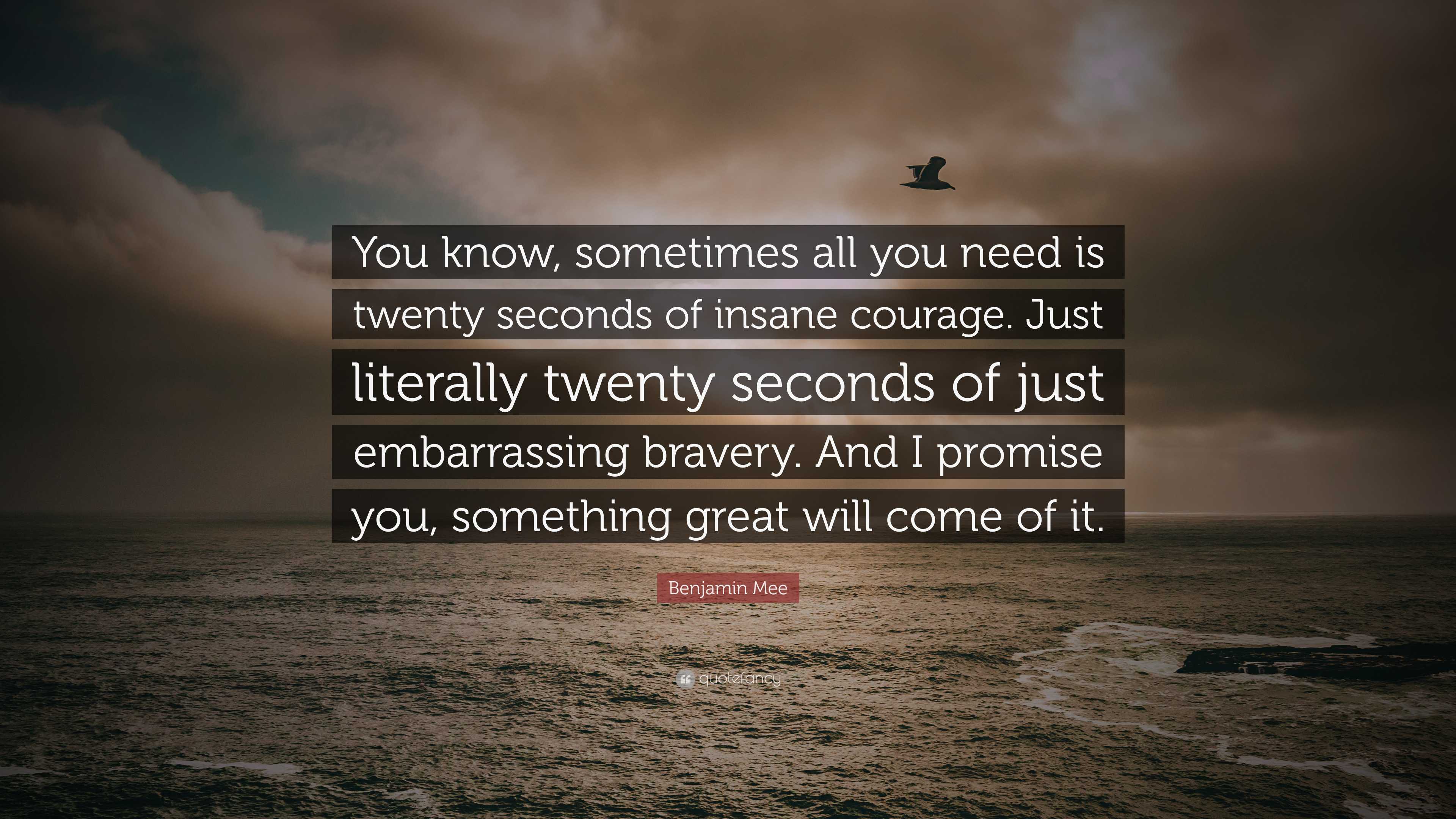 Benjamin Mee Quote: “You know, sometimes all you need is twenty seconds ...