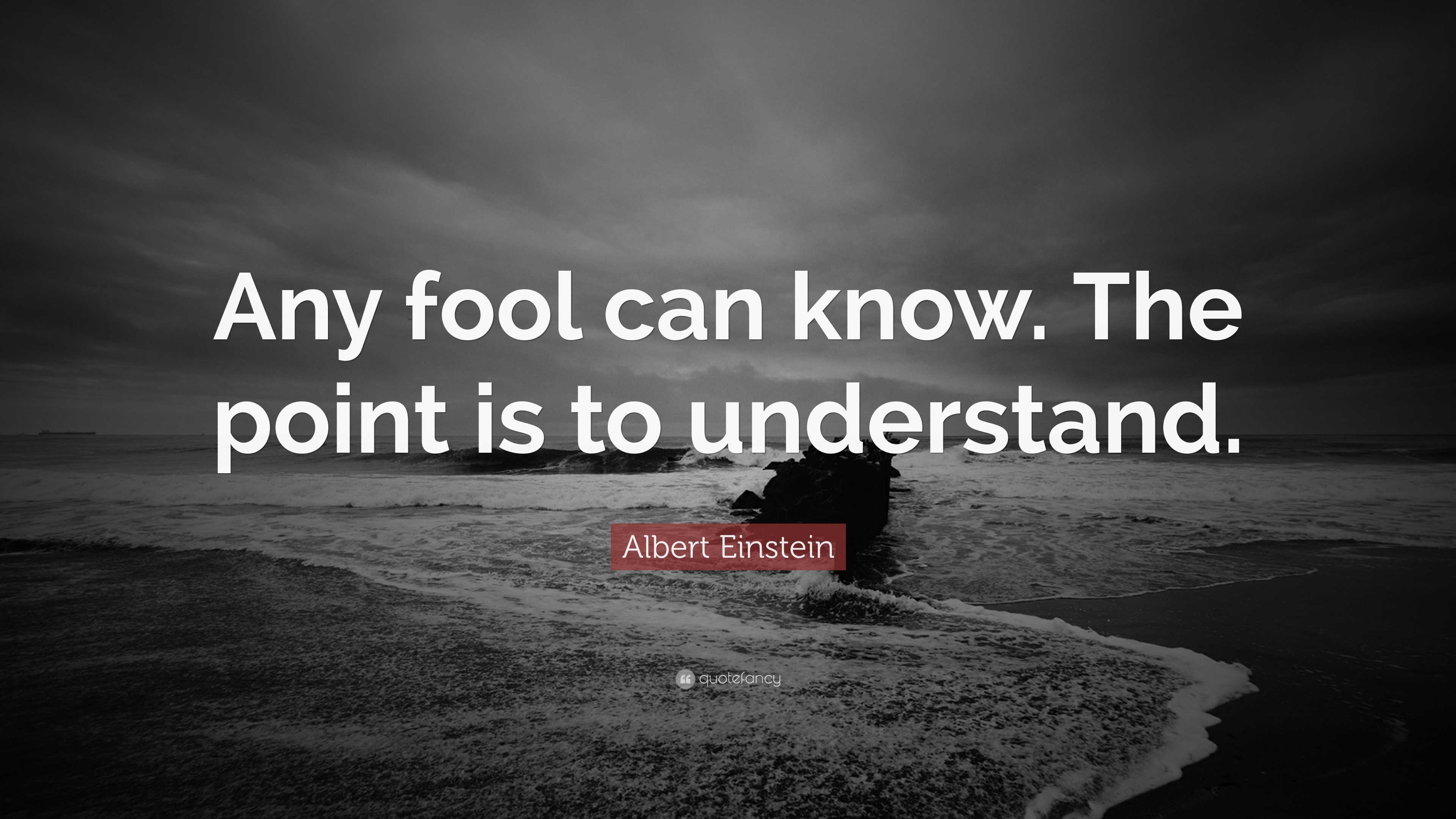 Albert Einstein Quote: “Any fool can know. The point is to understand.”