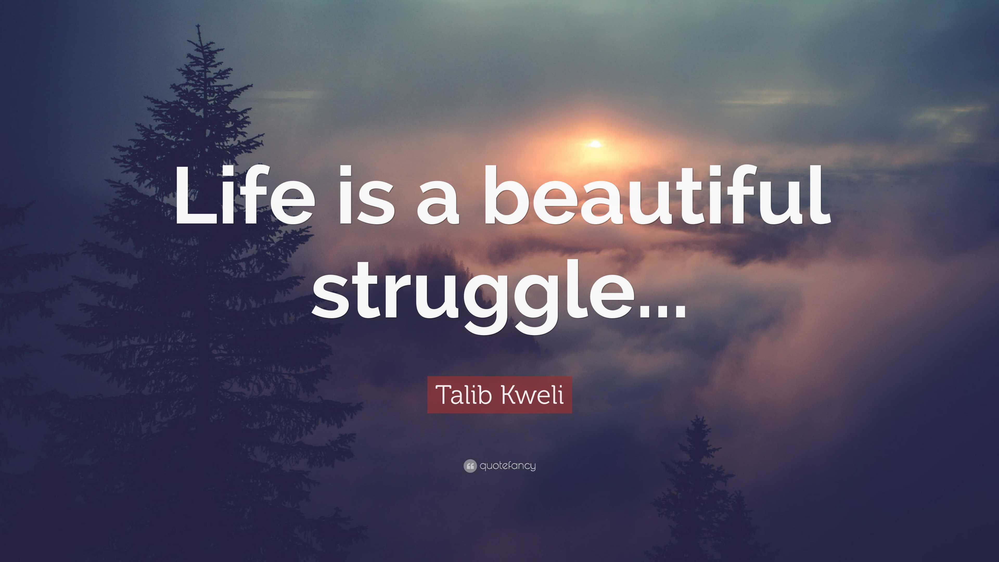 Talib Kweli Quote: “Life is a beautiful struggle...”