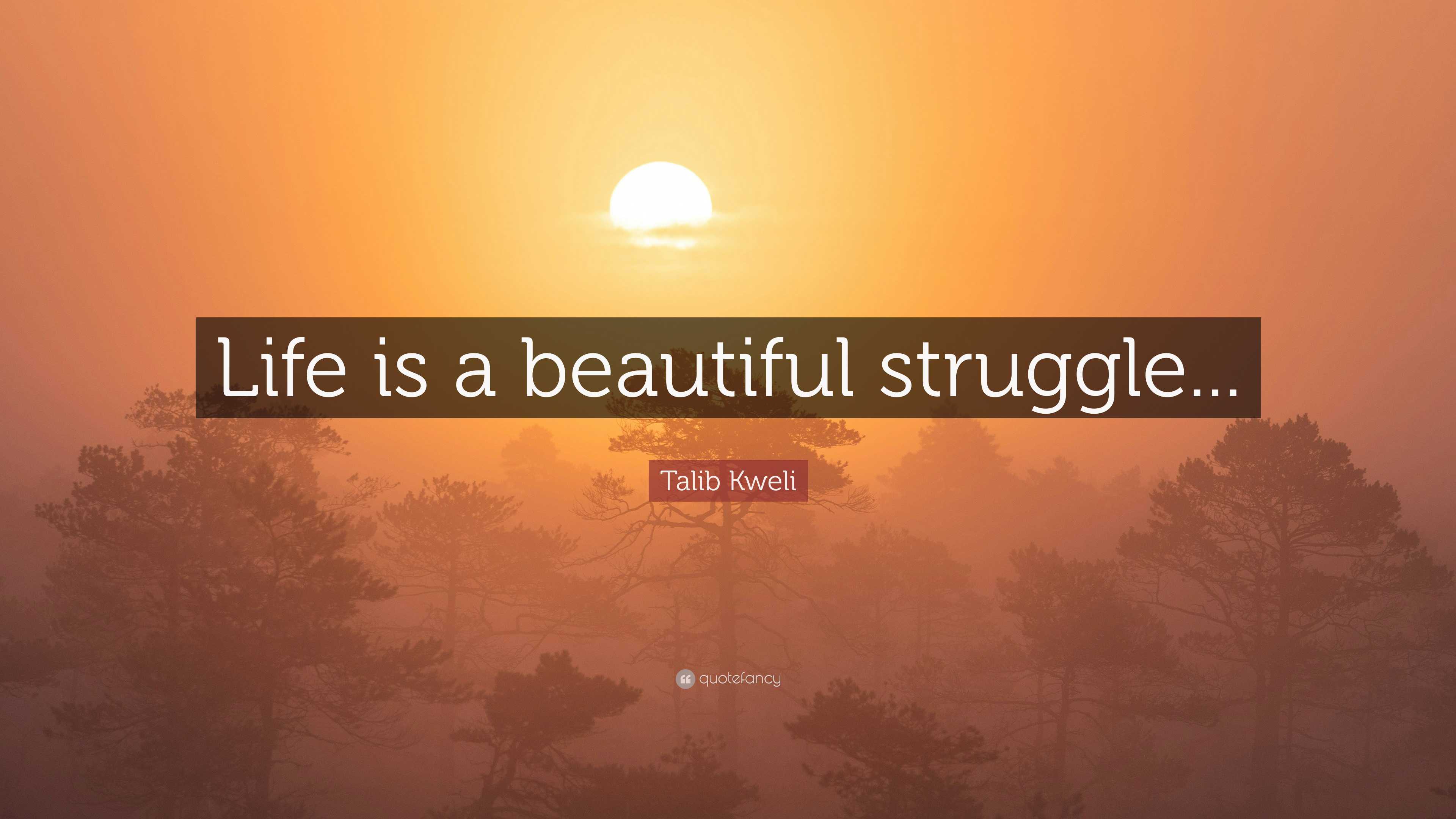 Talib Kweli Quote: “Life is a beautiful struggle...”