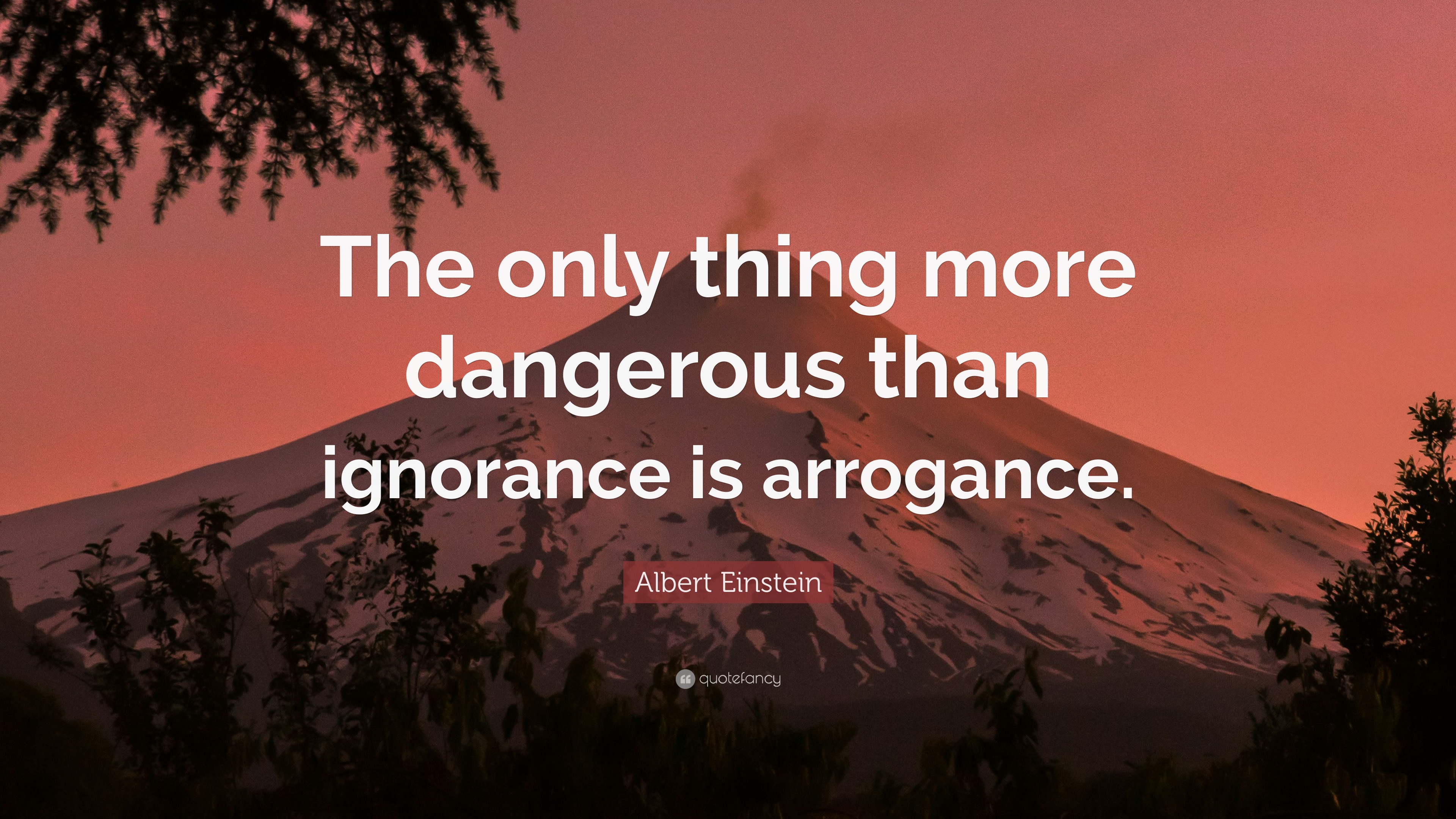 Albert Einstein Quote: “The only thing more dangerous than ignorance is ...