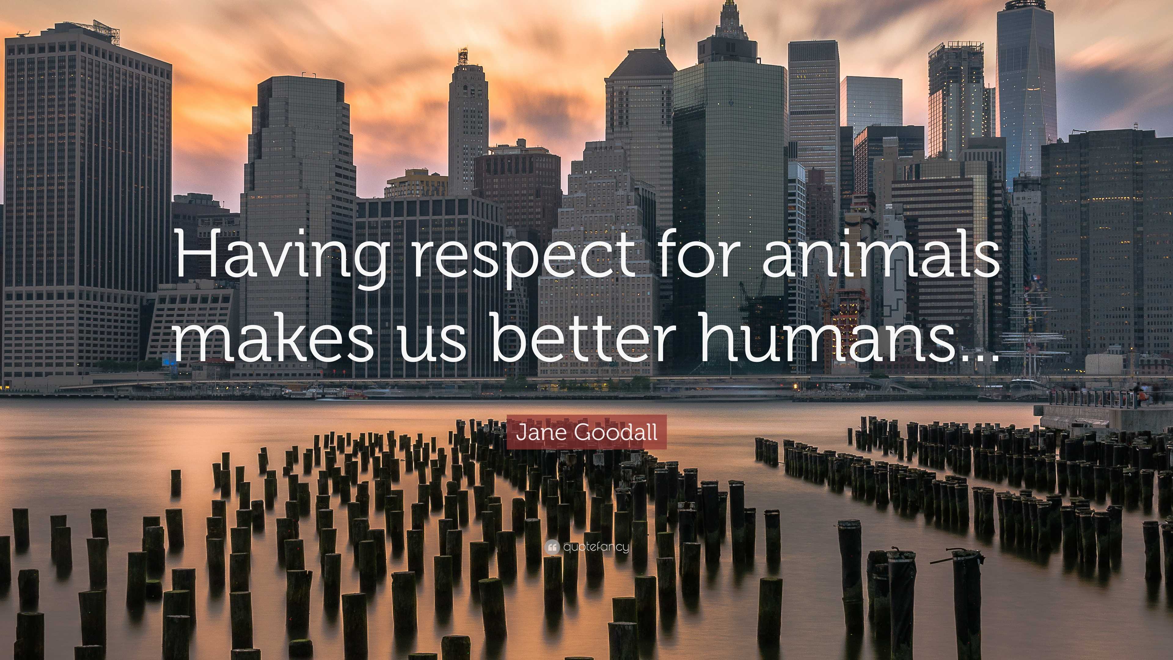 Jane Goodall Quote: “Having respect for animals makes us better humans...”