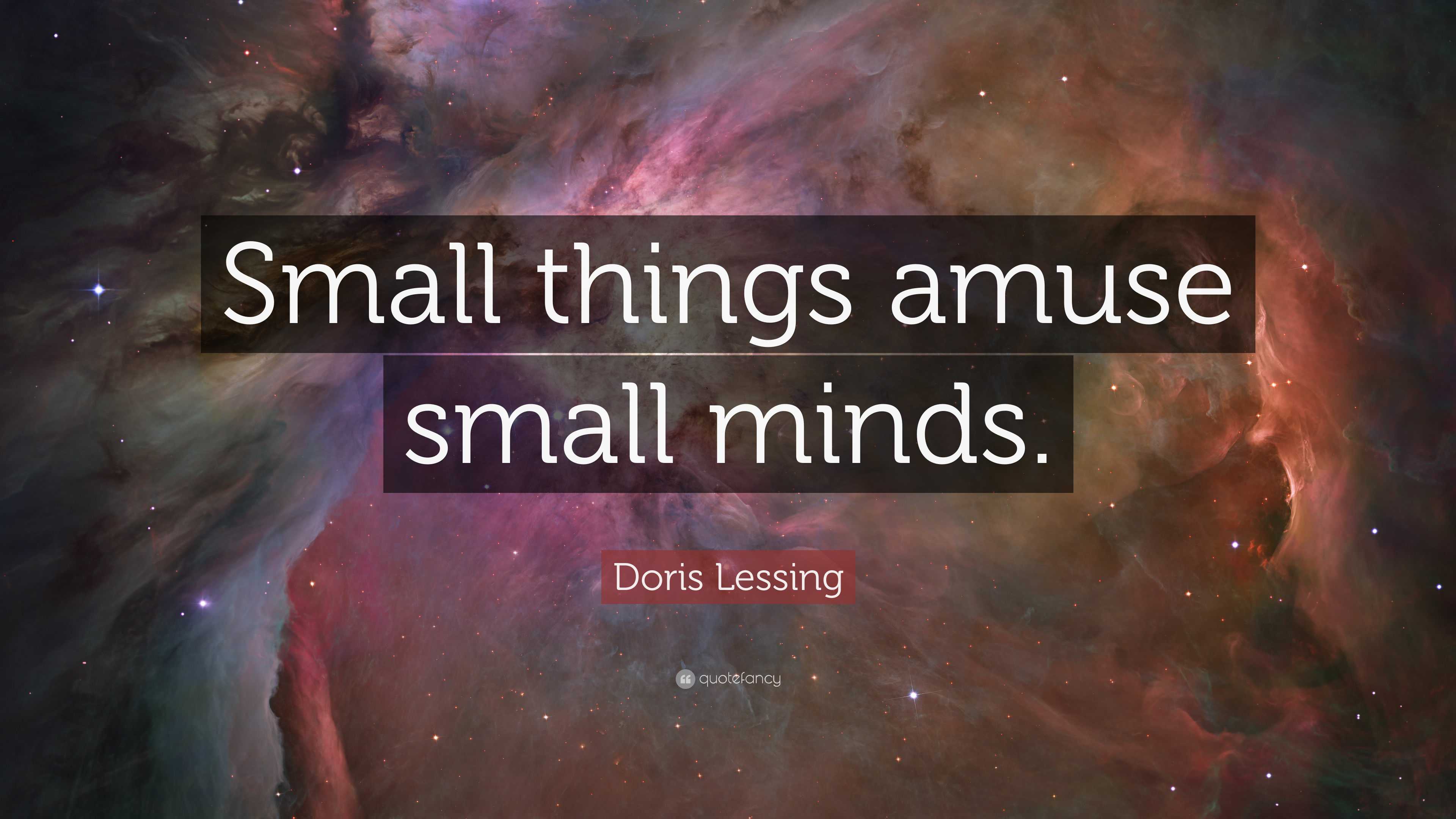 Doris Lessing Quote: “Small things amuse small minds.”