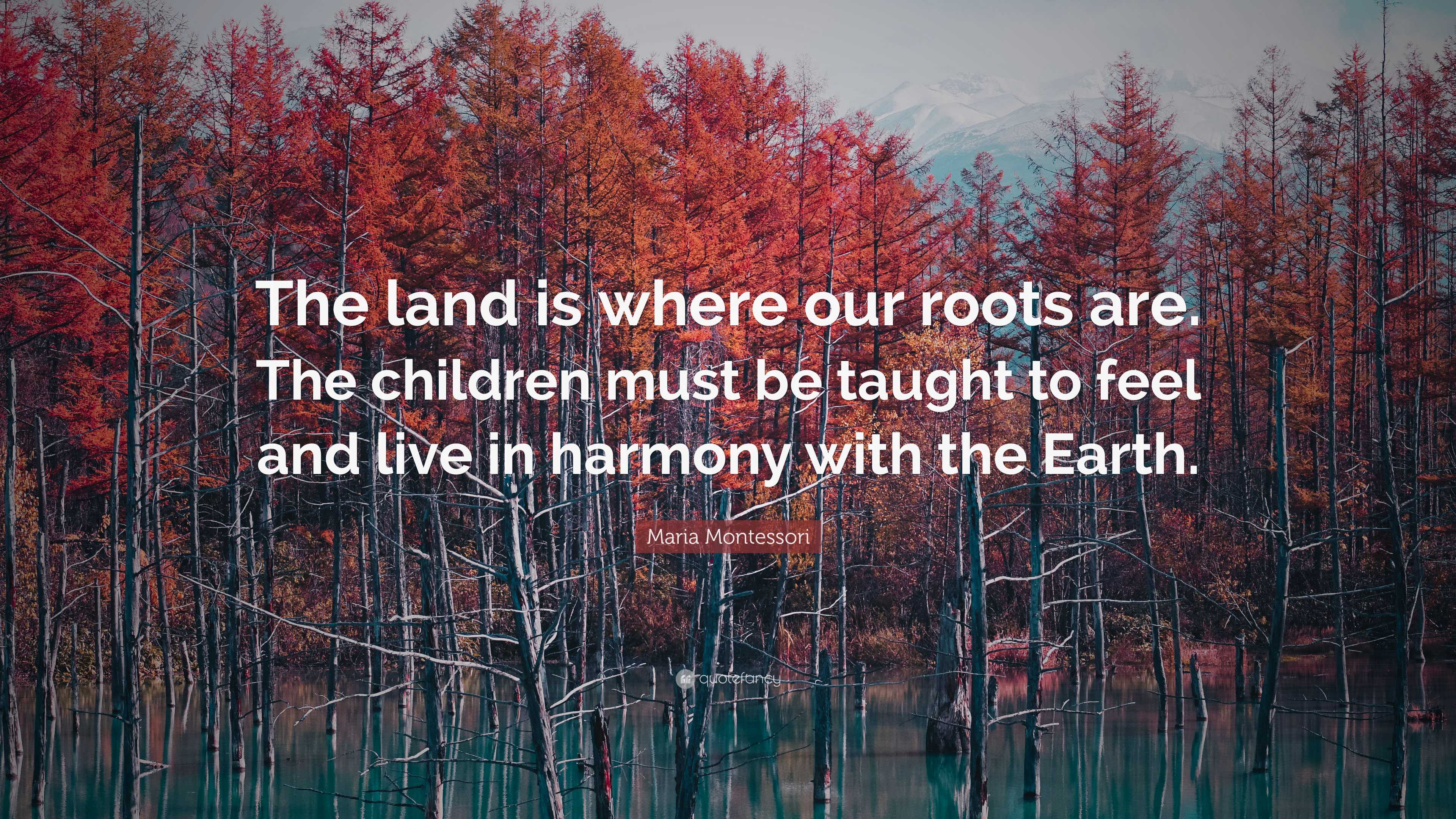 Maria Montessori Quote: “The land is where our roots are. The children ...