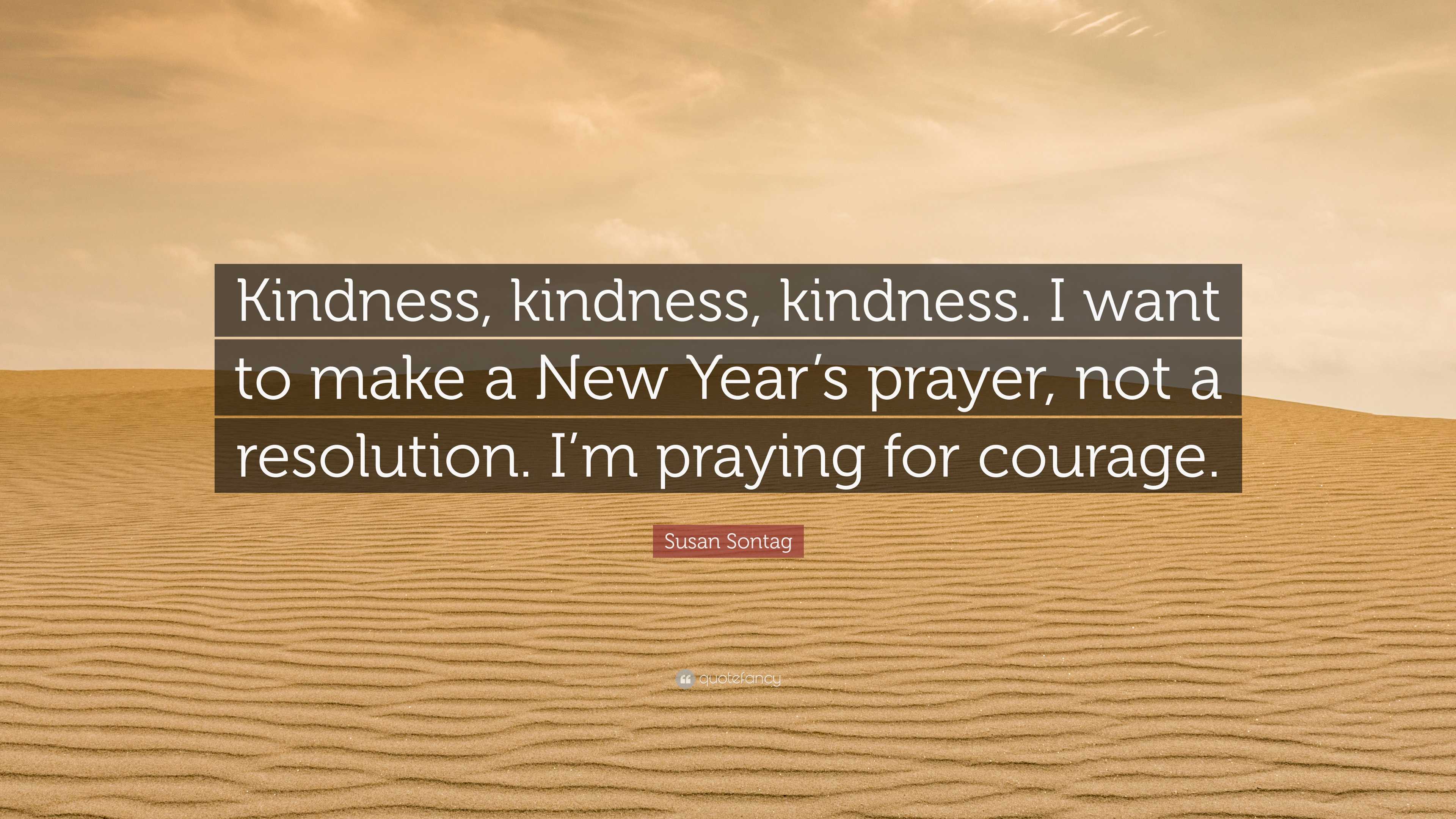 Susan Sontag Quote: “Kindness, kindness, kindness. I want to make a New ...