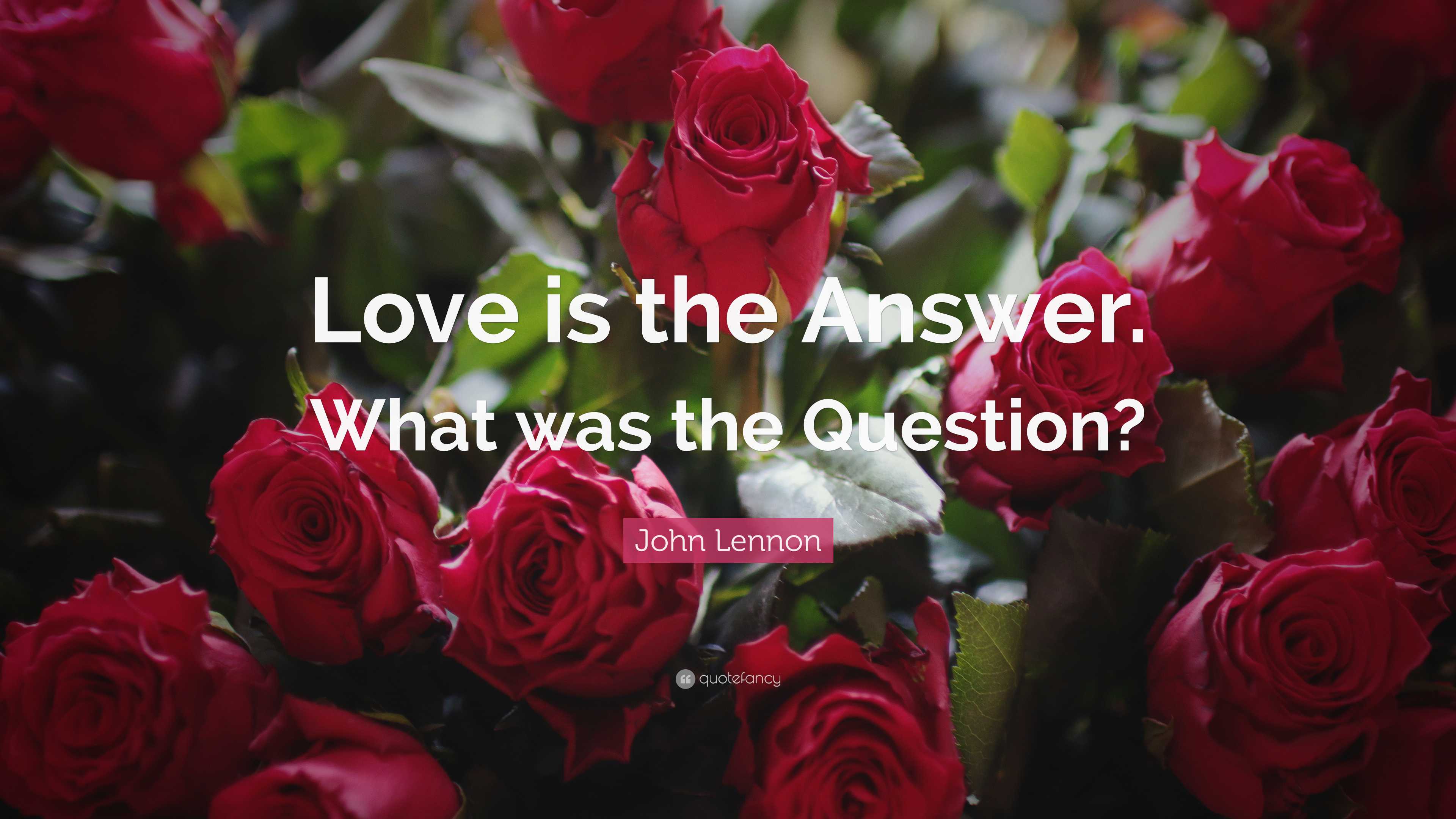 John Lennon Quote: “Love is the Answer. What was the Question?”