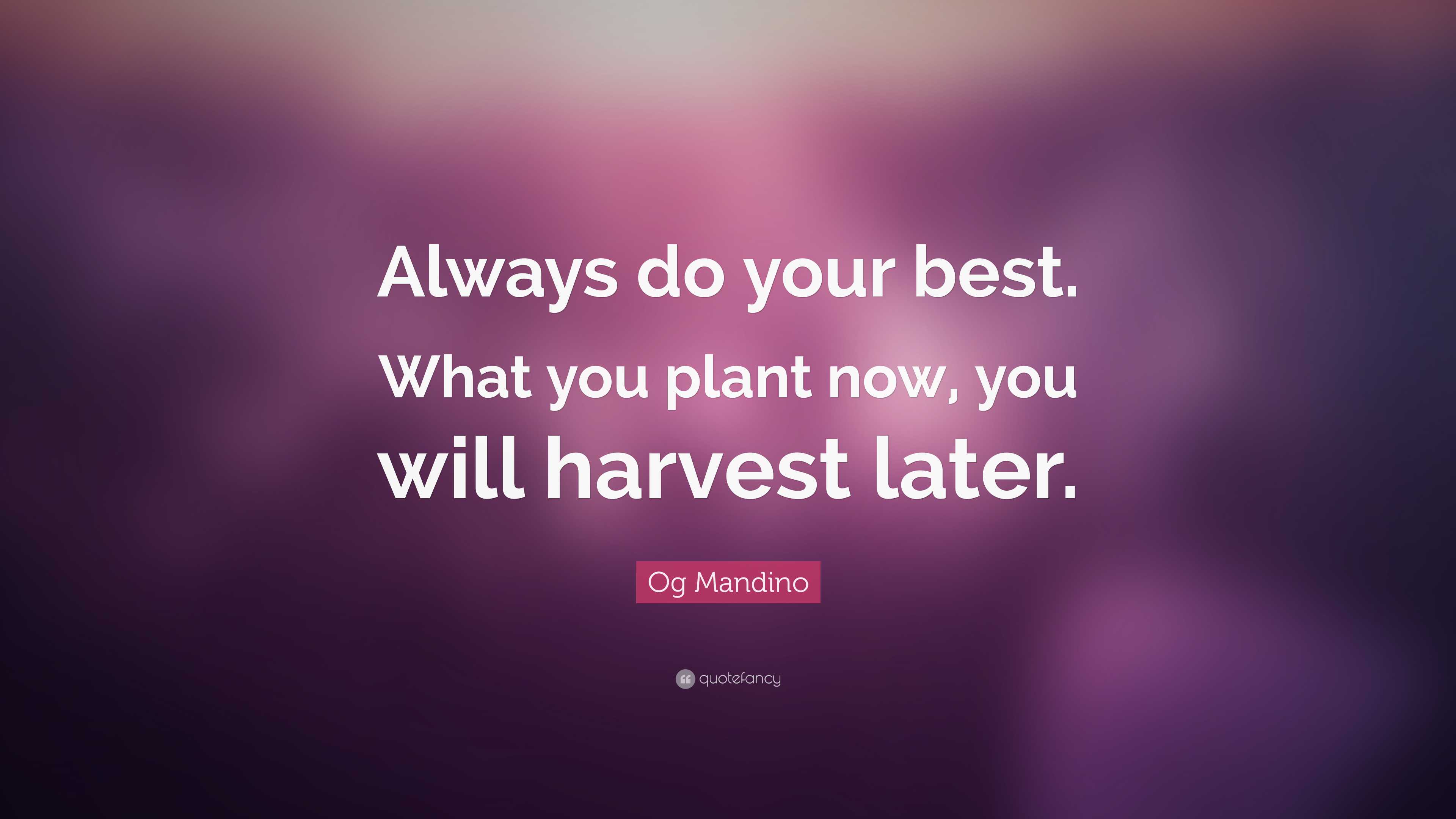 Og Mandino Quote Always Do Your Best What You Plant Now You Will