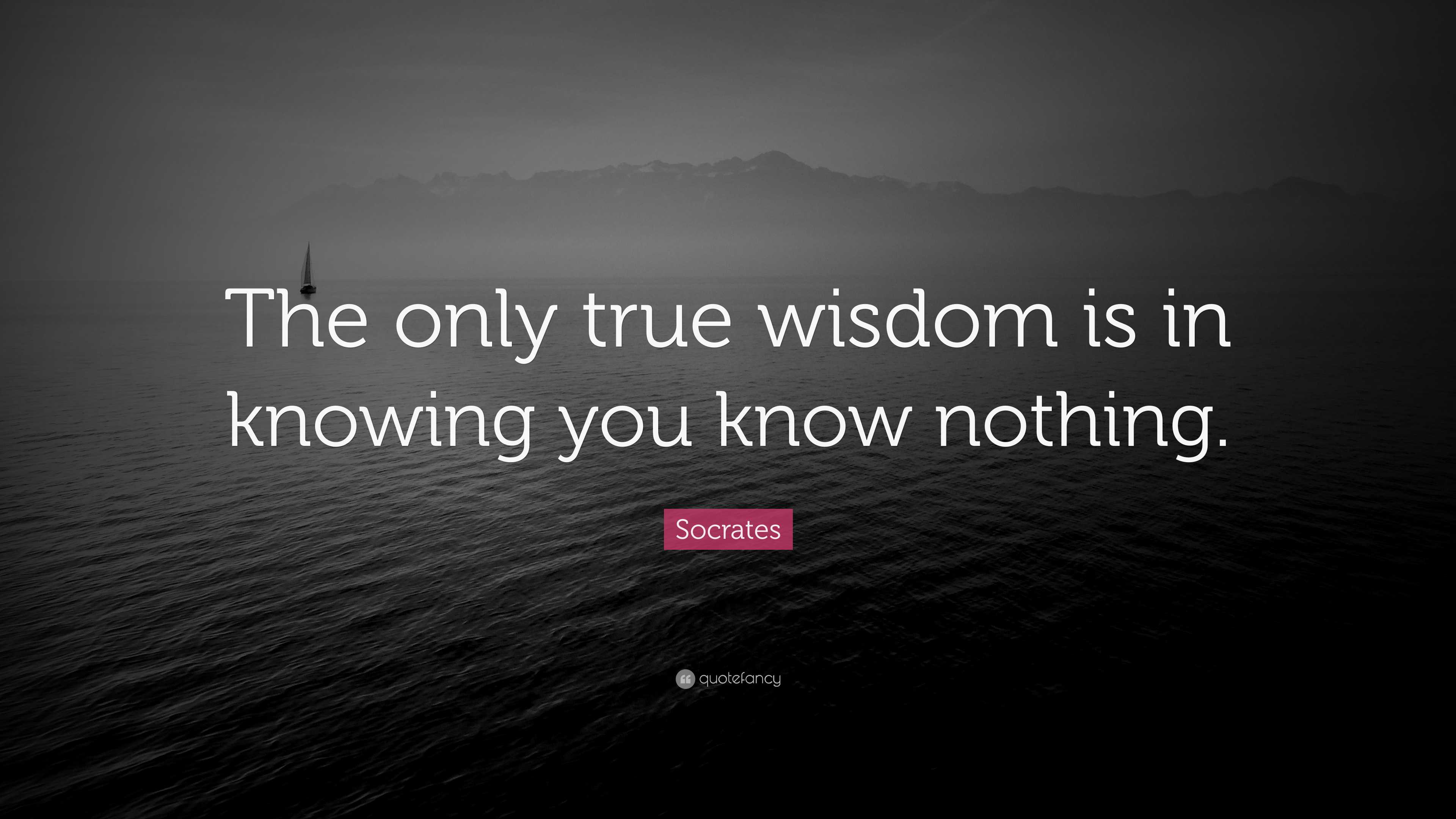 Socrates Quote: “The only true wisdom is in knowing you know nothing.”