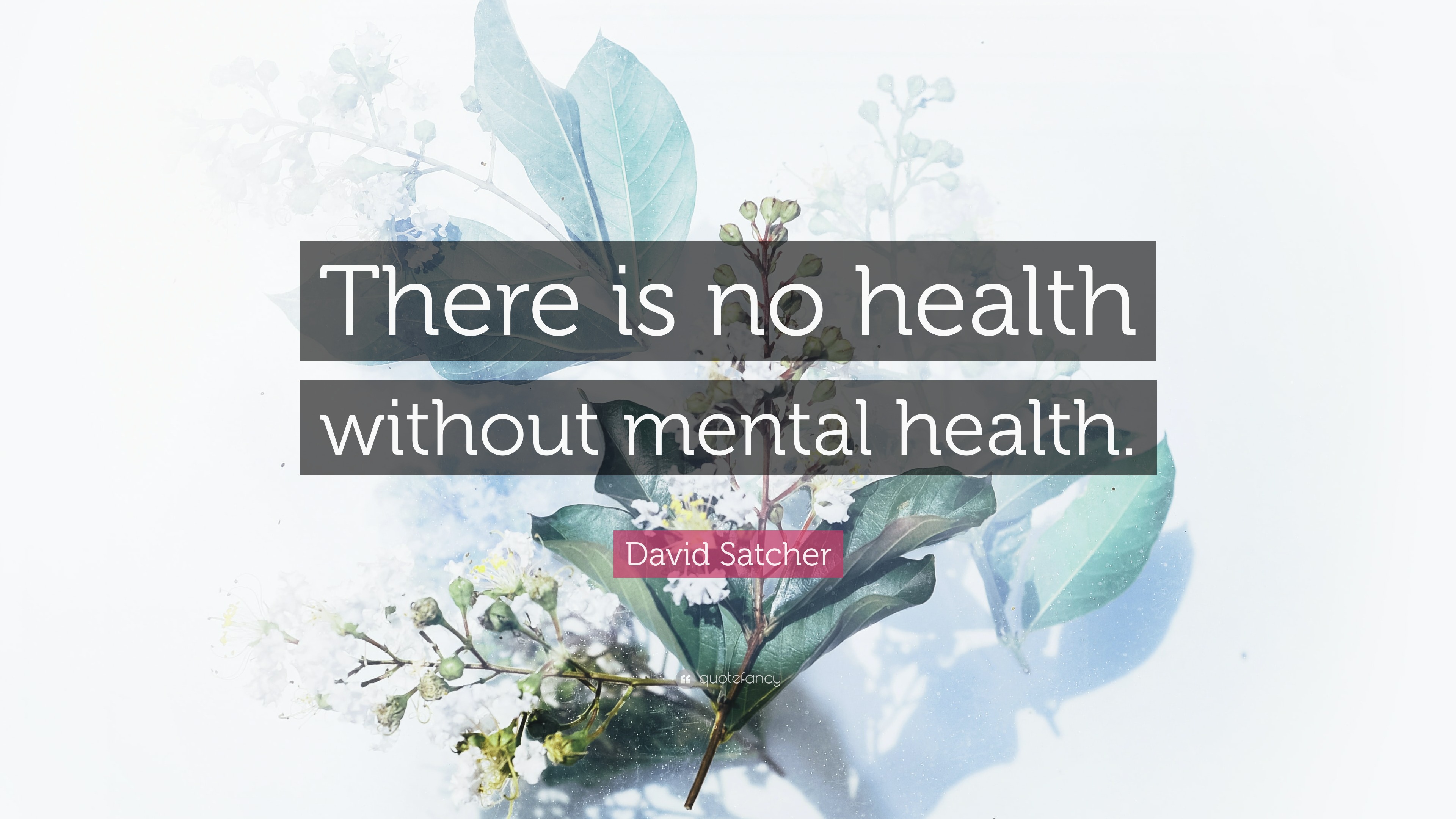 David Satcher Quote: “There is no health without mental health.”
