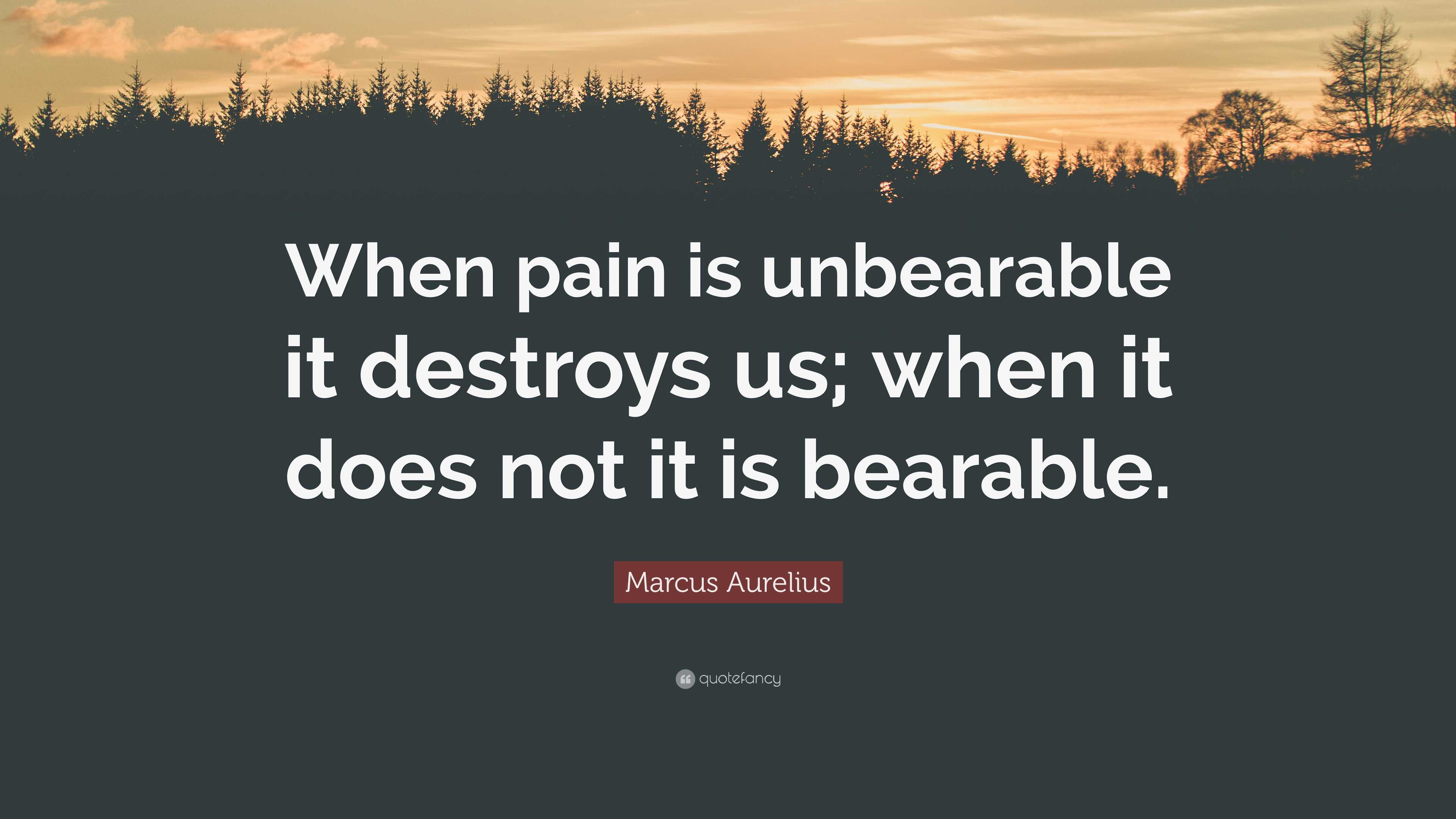 Marcus Aurelius Quote: “When pain is unbearable it destroys us; when it ...