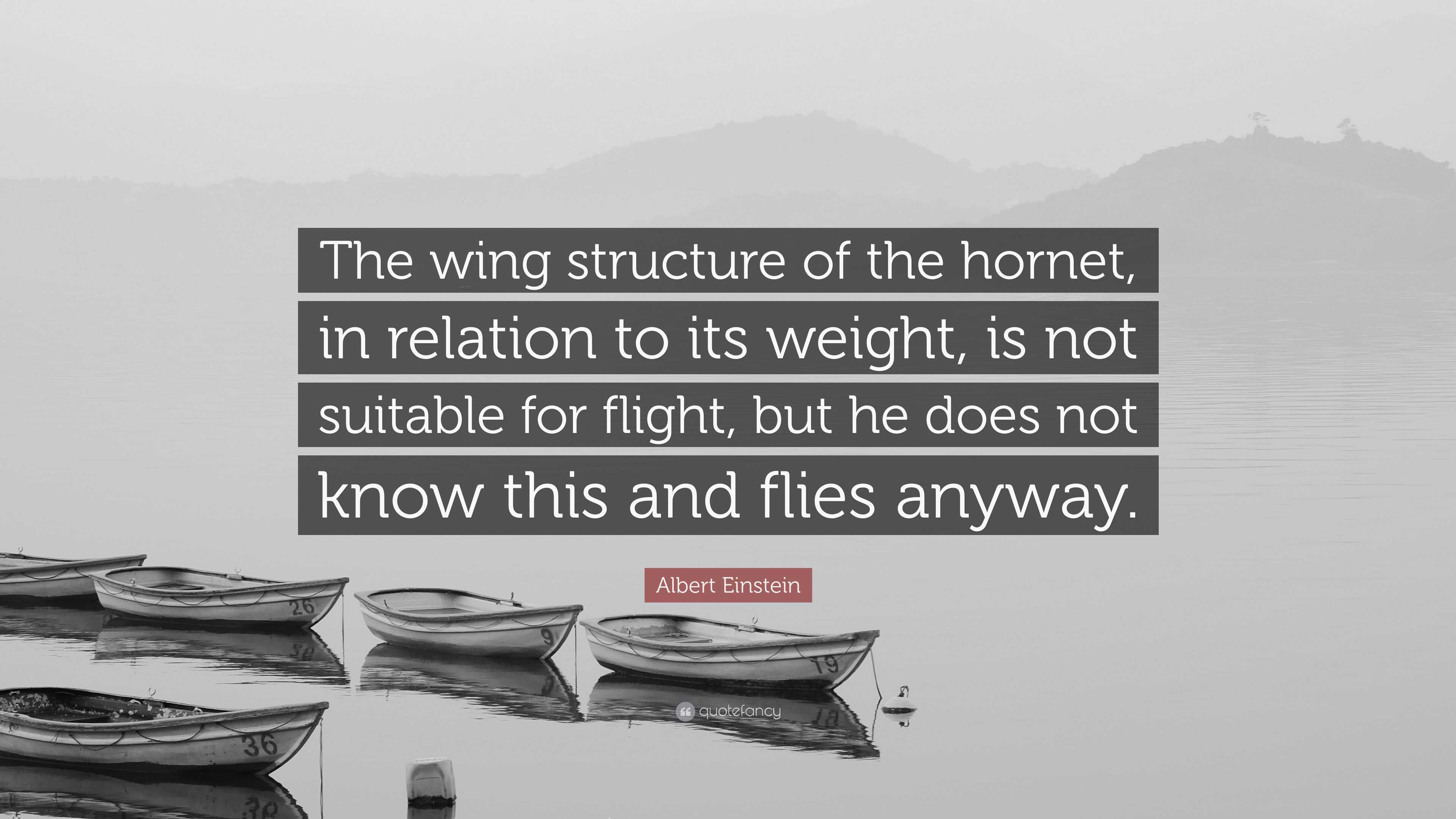 Albert Einstein Quote: “The wing structure of the hornet, in relation ...