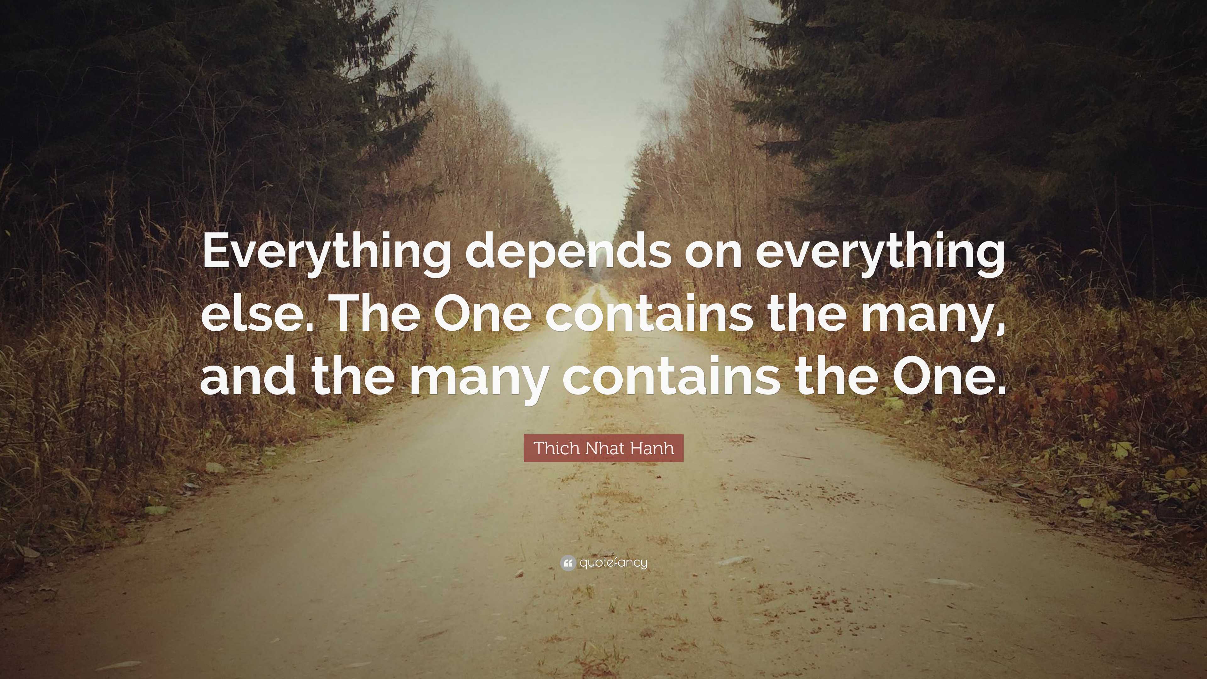 Thich Nhat Hanh Quote: “Everything depends on everything else. The One ...