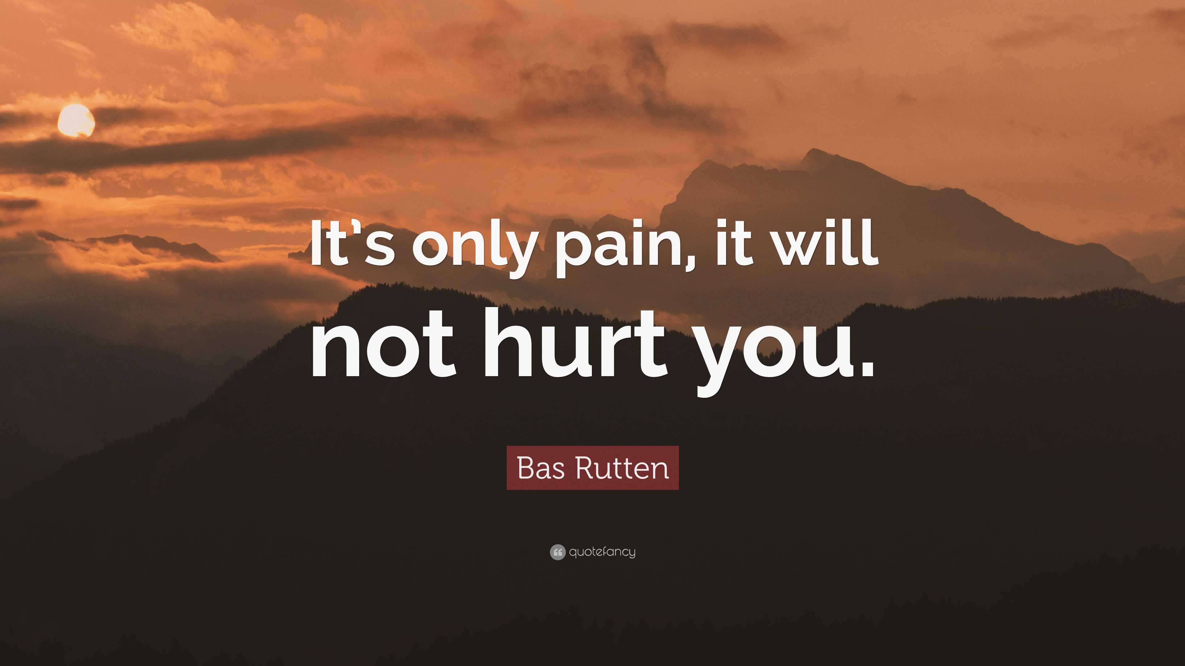 Bas Rutten Quote: “It’s only pain, it will not hurt you.”