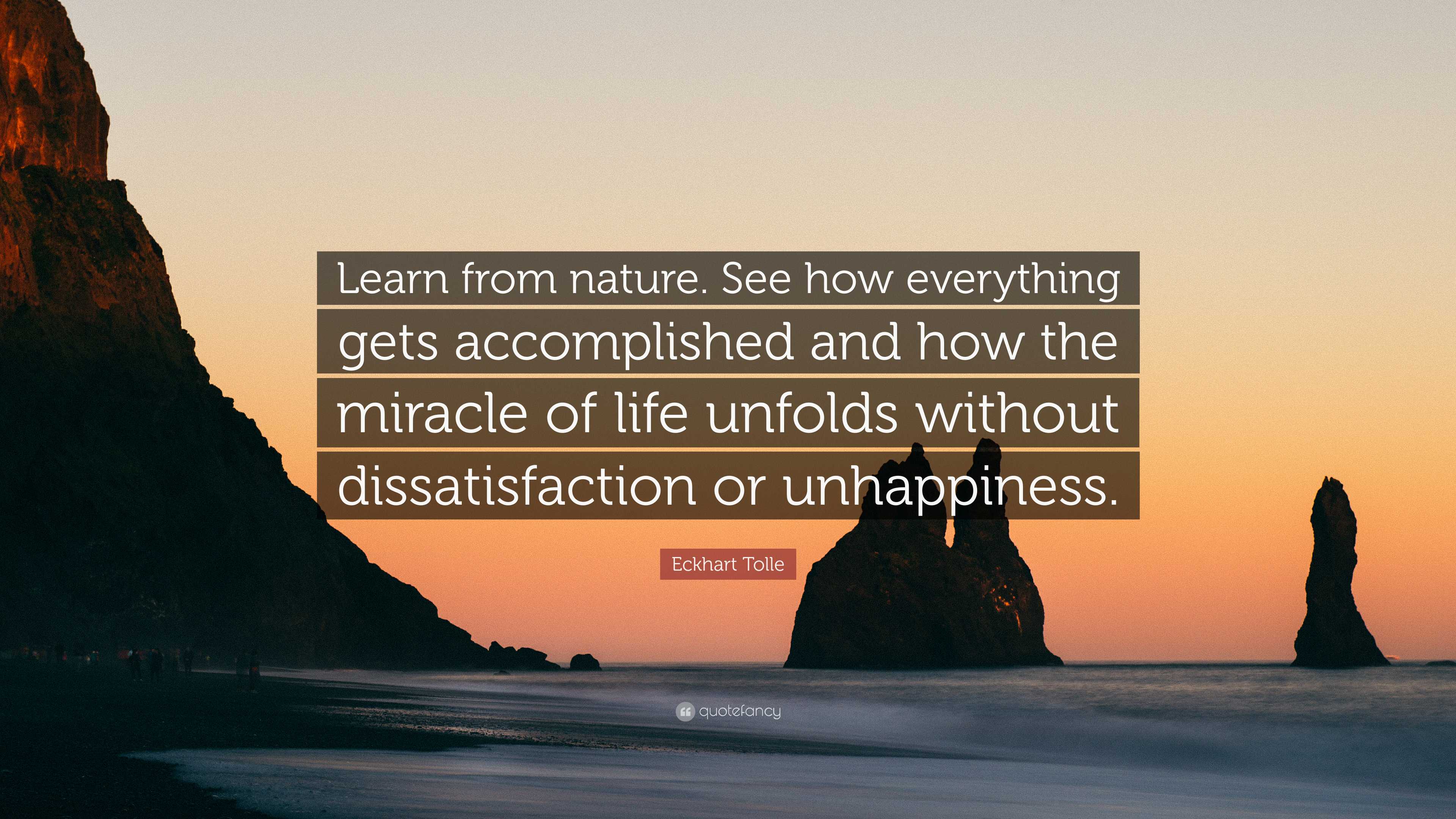 Eckhart Tolle Quote: “Learn from nature. See how everything gets ...