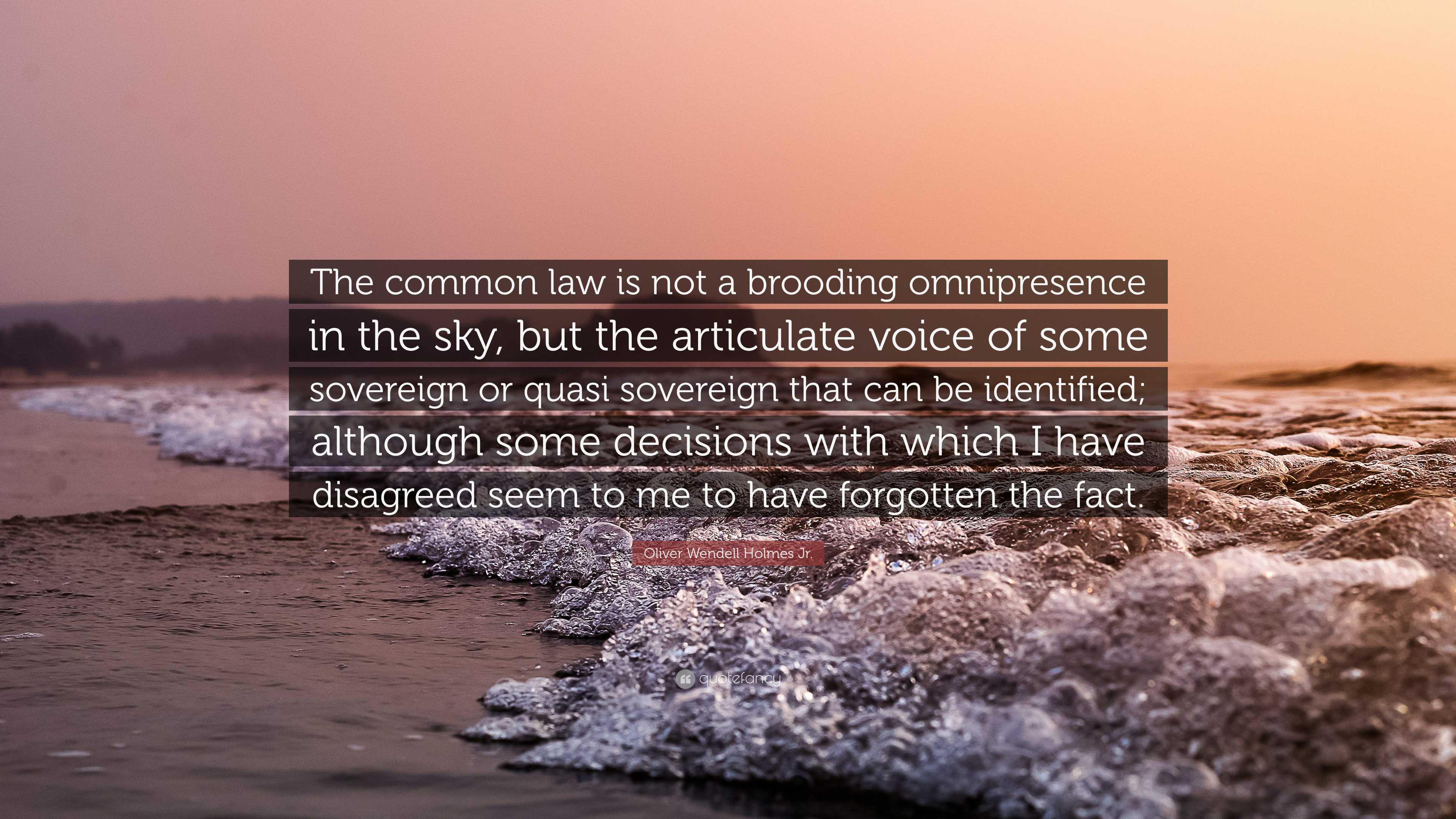 Oliver Wendell Holmes Jr. Quote: “The common law is not a brooding ...