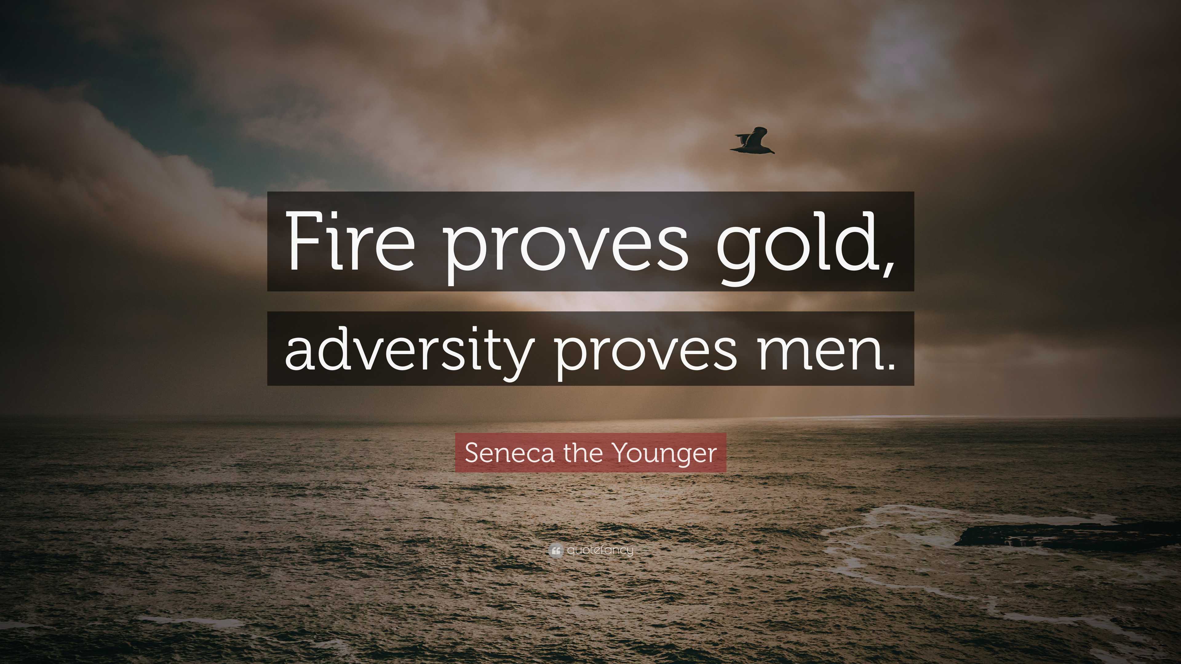 Seneca the Younger Quote: “Fire proves gold, adversity proves men.”