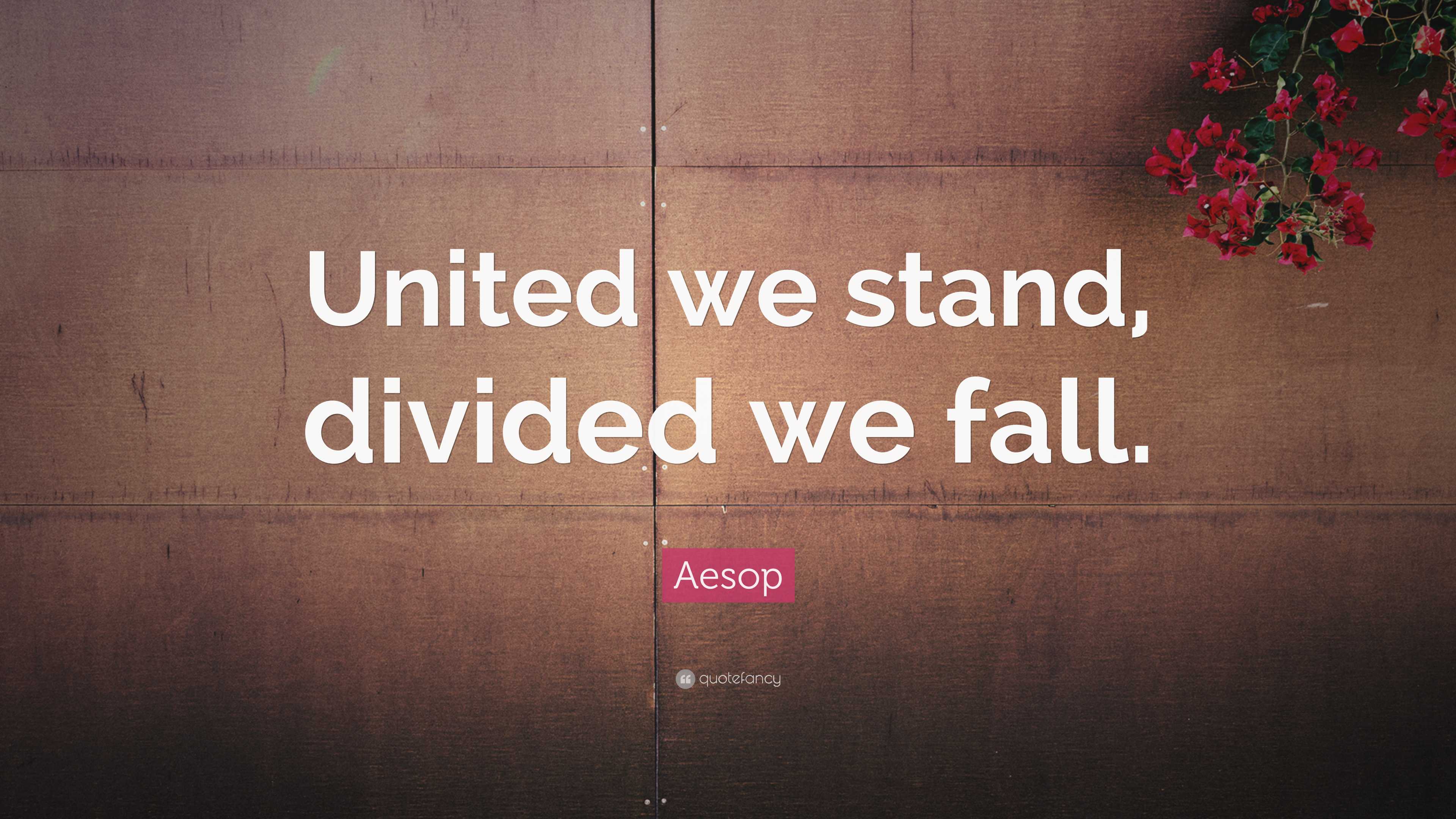 Aesop Quote: “United we stand, divided we fall.”