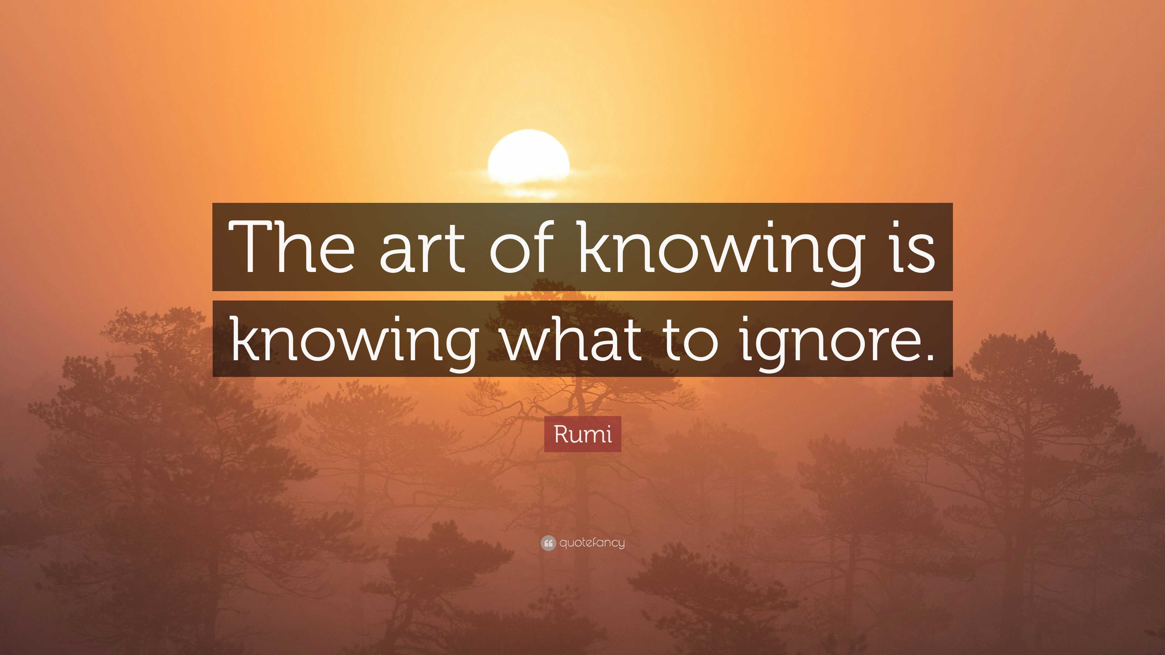 Rumi Quote: “The art of knowing is knowing what to ignore.”