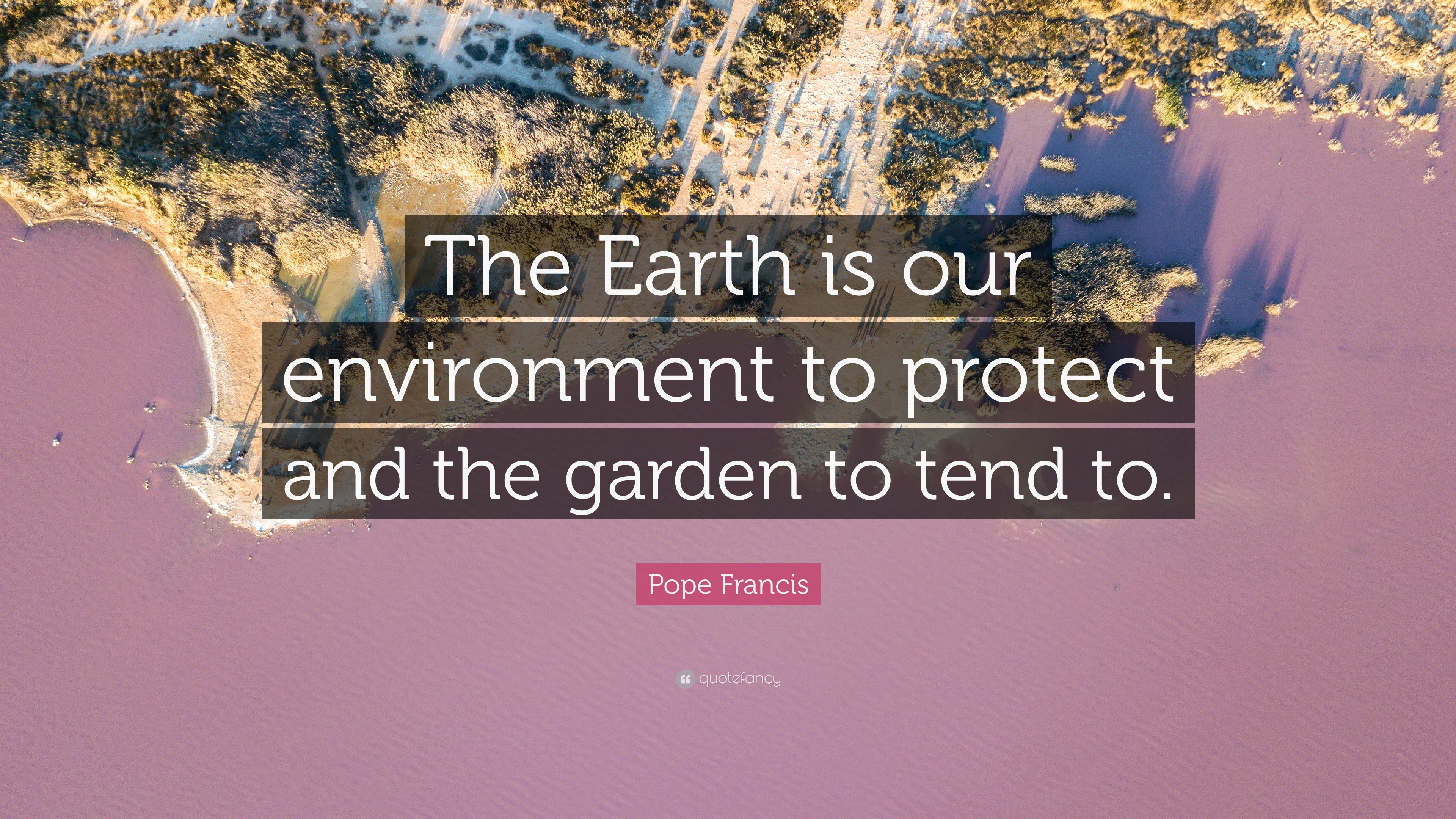 Pope Francis Quote: “The Earth is our environment to protect and the ...