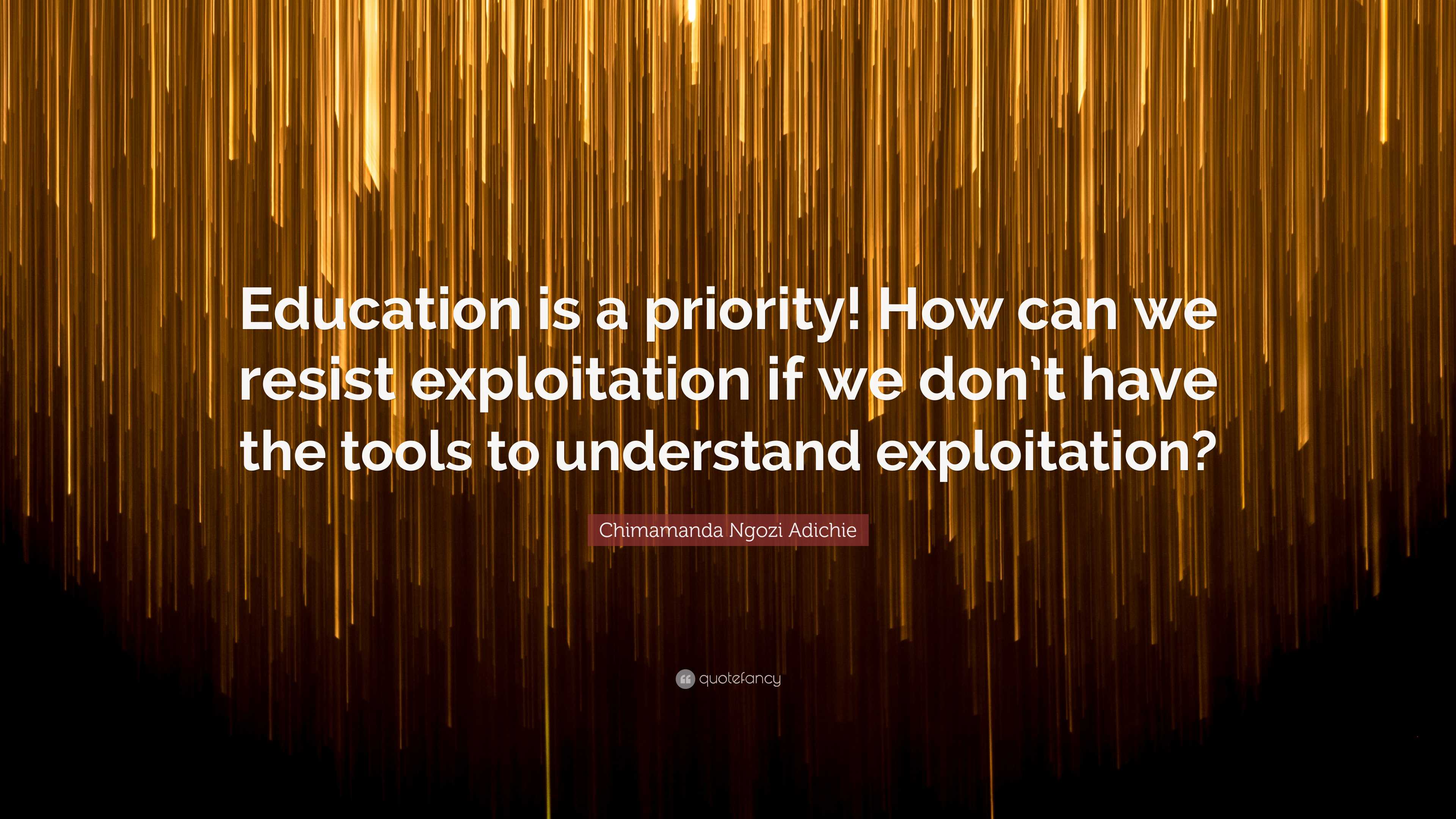 Chimamanda Ngozi Adichie Quote: “Education is a priority! How can we ...
