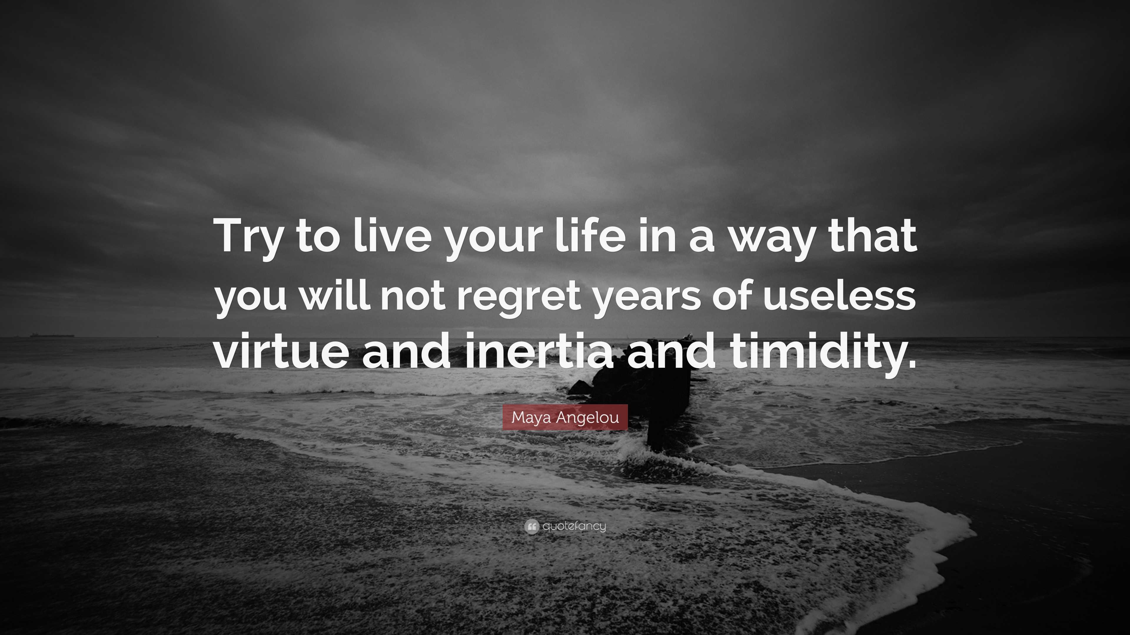 Maya Angelou Quote: “Try to live your life in a way that you will not ...