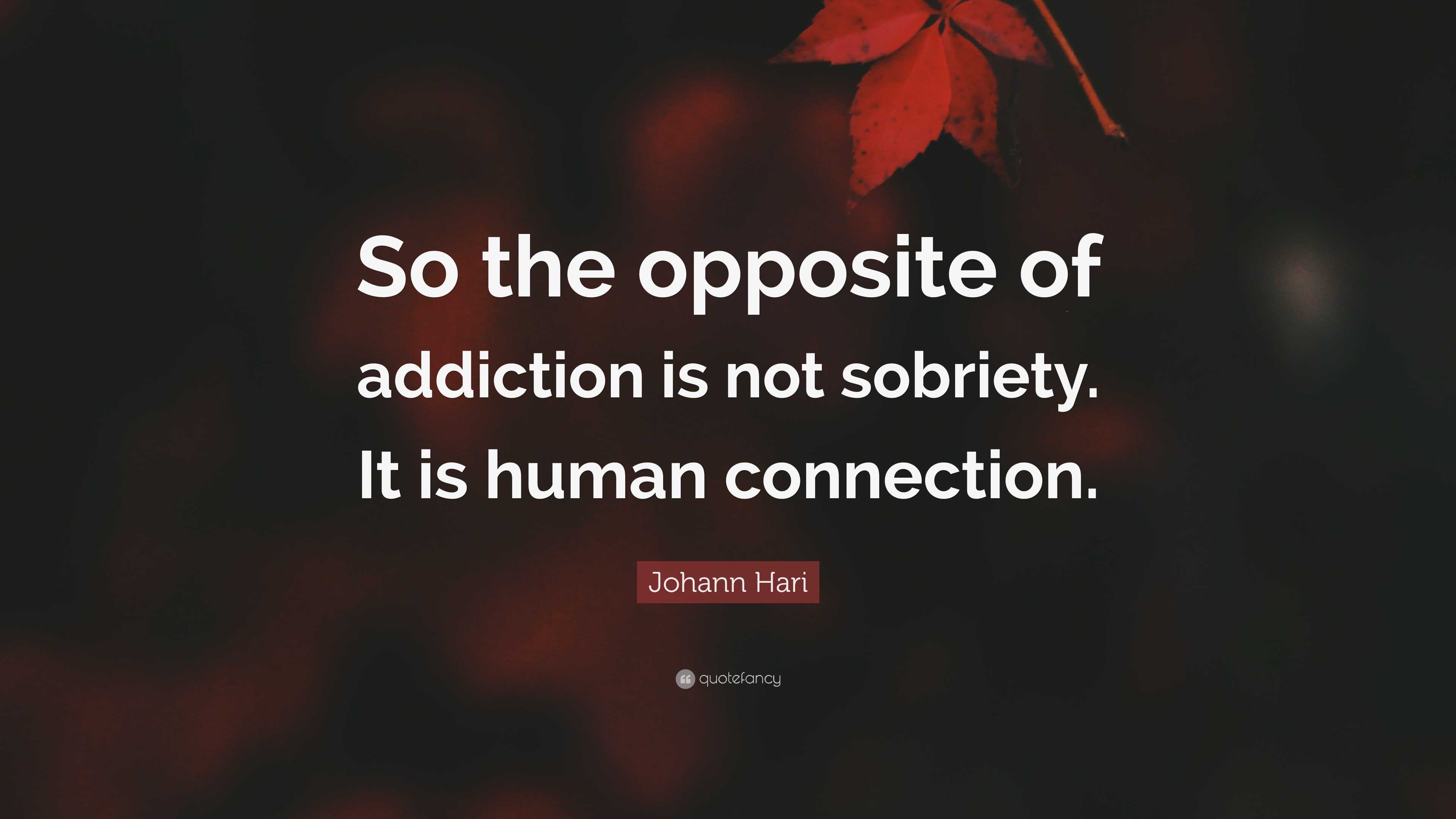 Johann Hari Quote: “So the opposite of addiction is not sobriety. It is ...