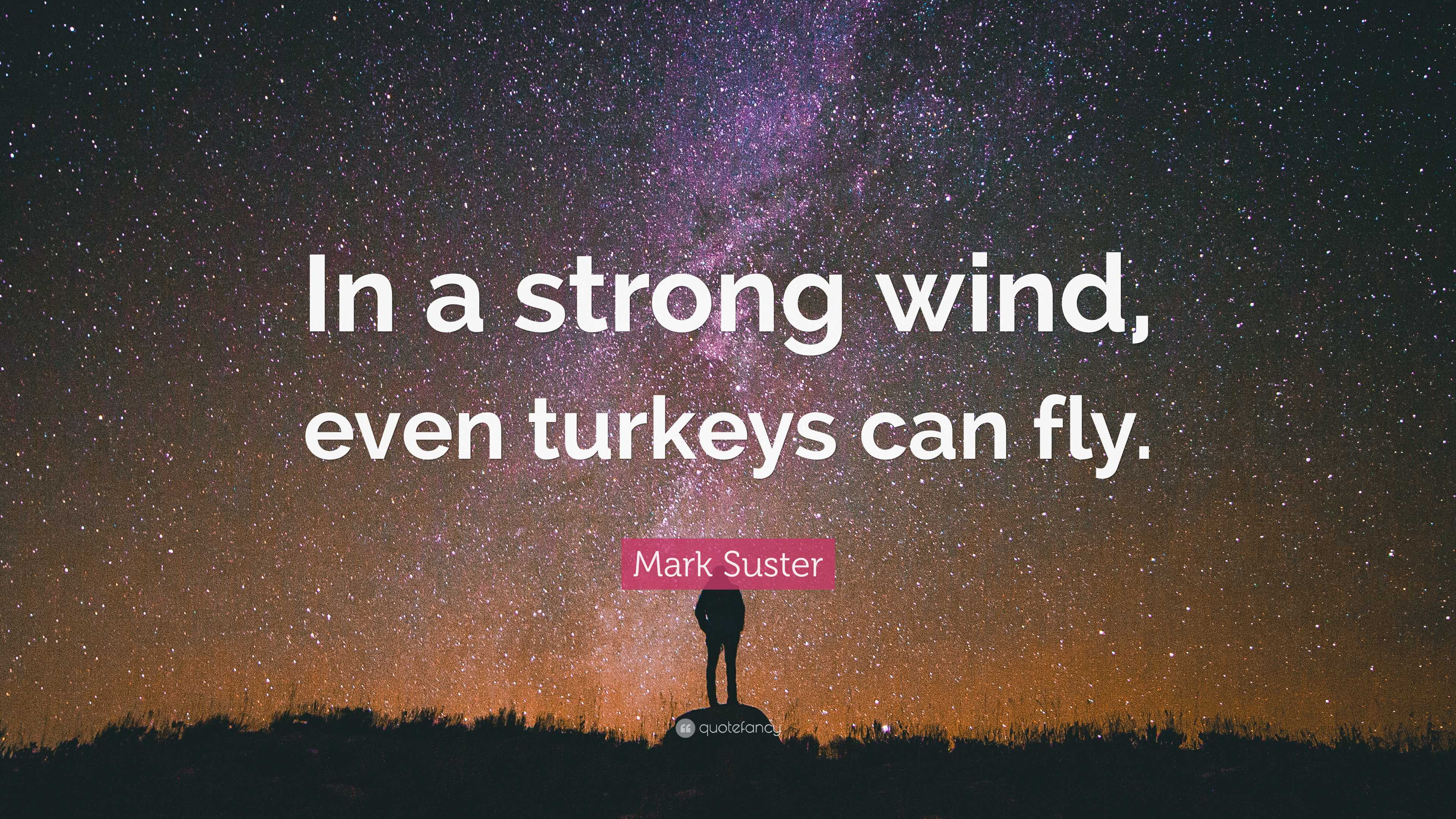 Mark Suster Quote: “In a strong wind, even turkeys can fly.”