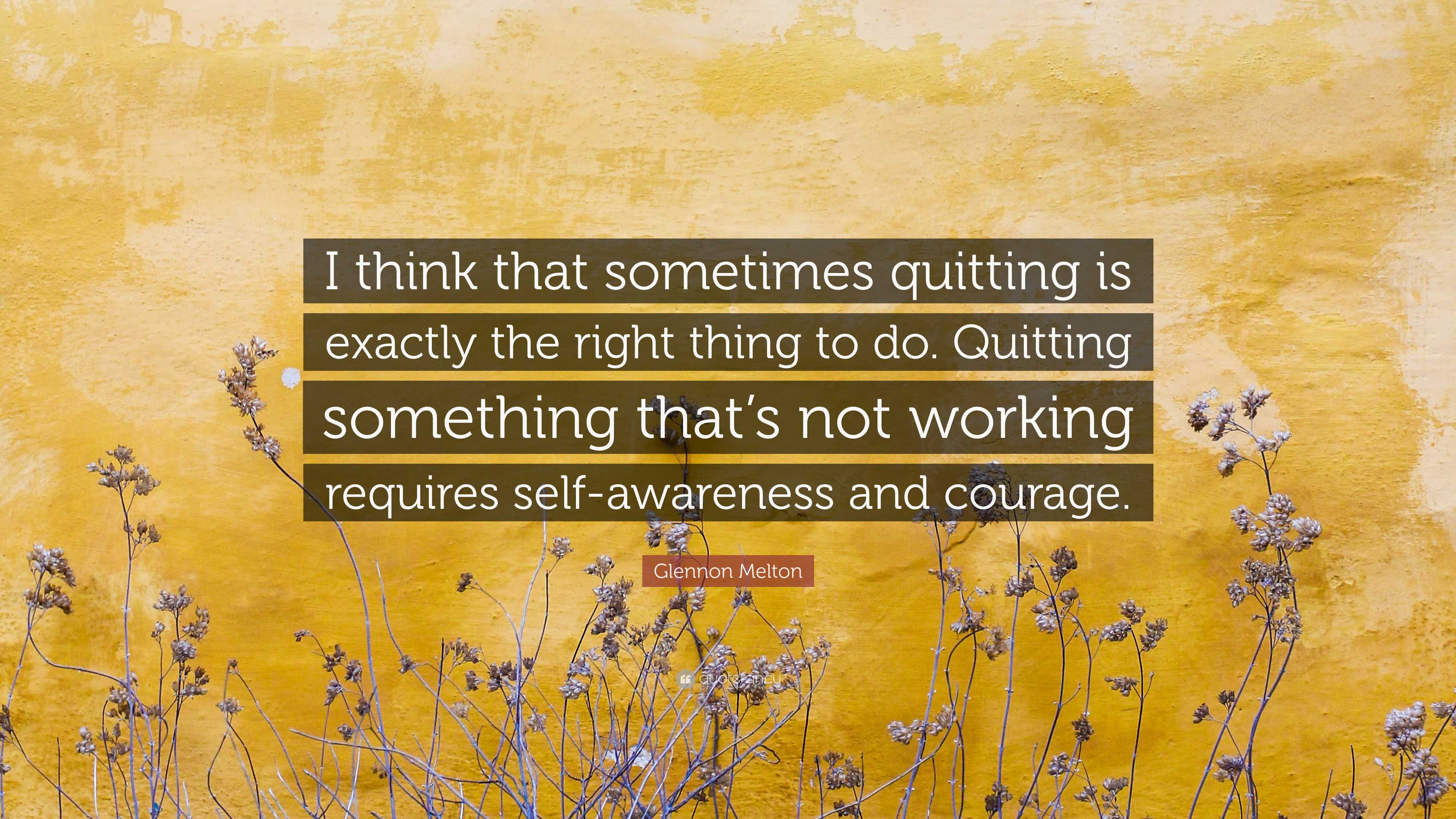 Glennon Melton Quote: “I think that sometimes quitting is exactly the ...