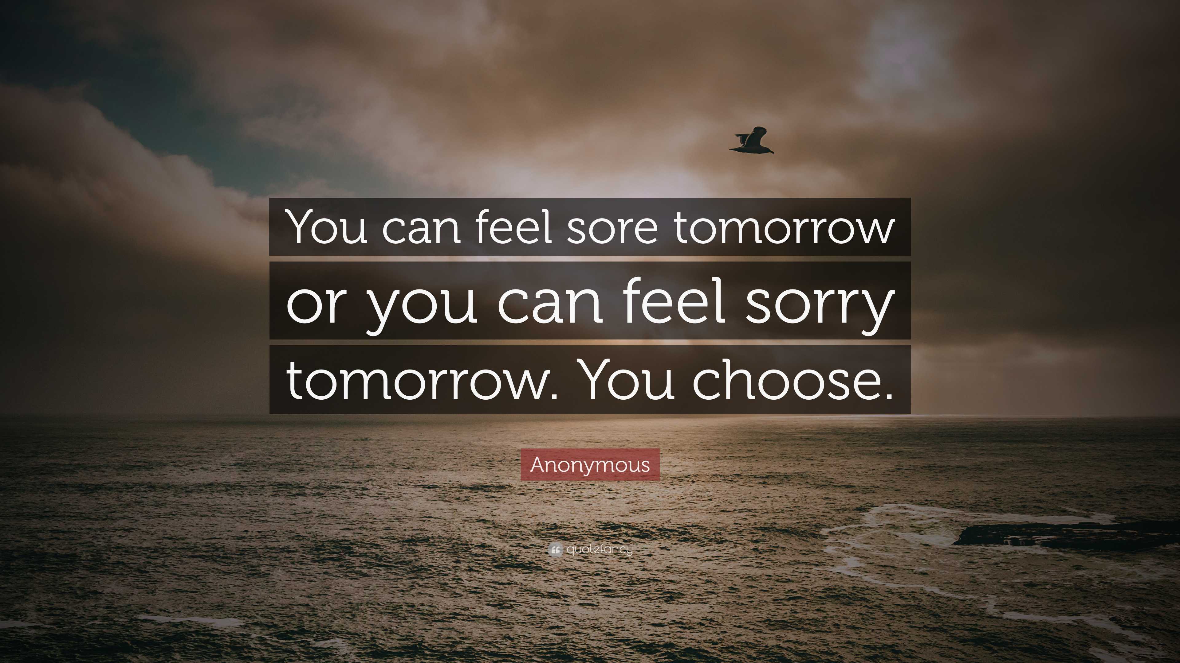 Anonymous Quote: “You can feel sore tomorrow or you can feel sorry ...