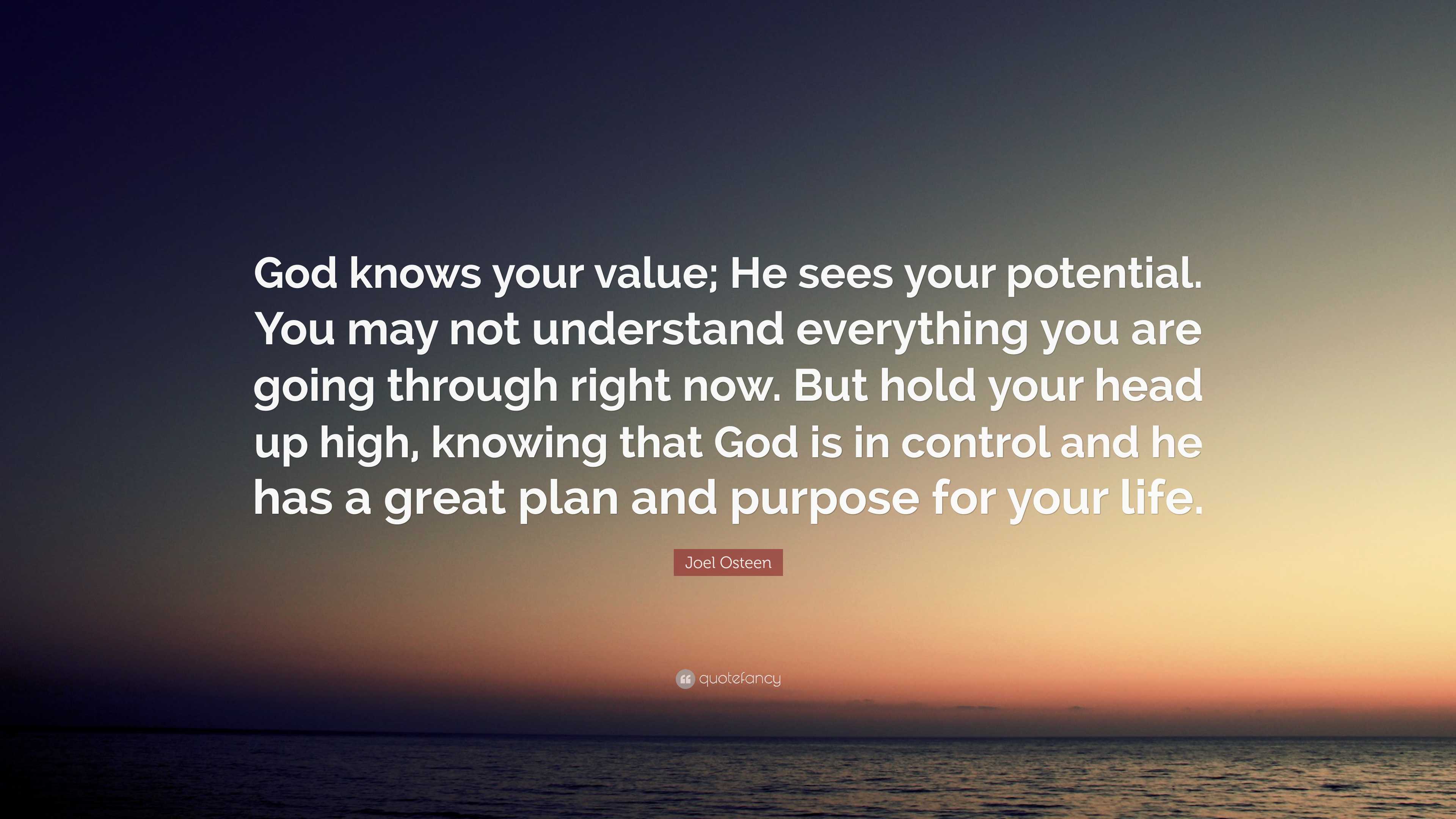 Joel Osteen Quote: “God knows your value; He sees your potential. You may not understand ...