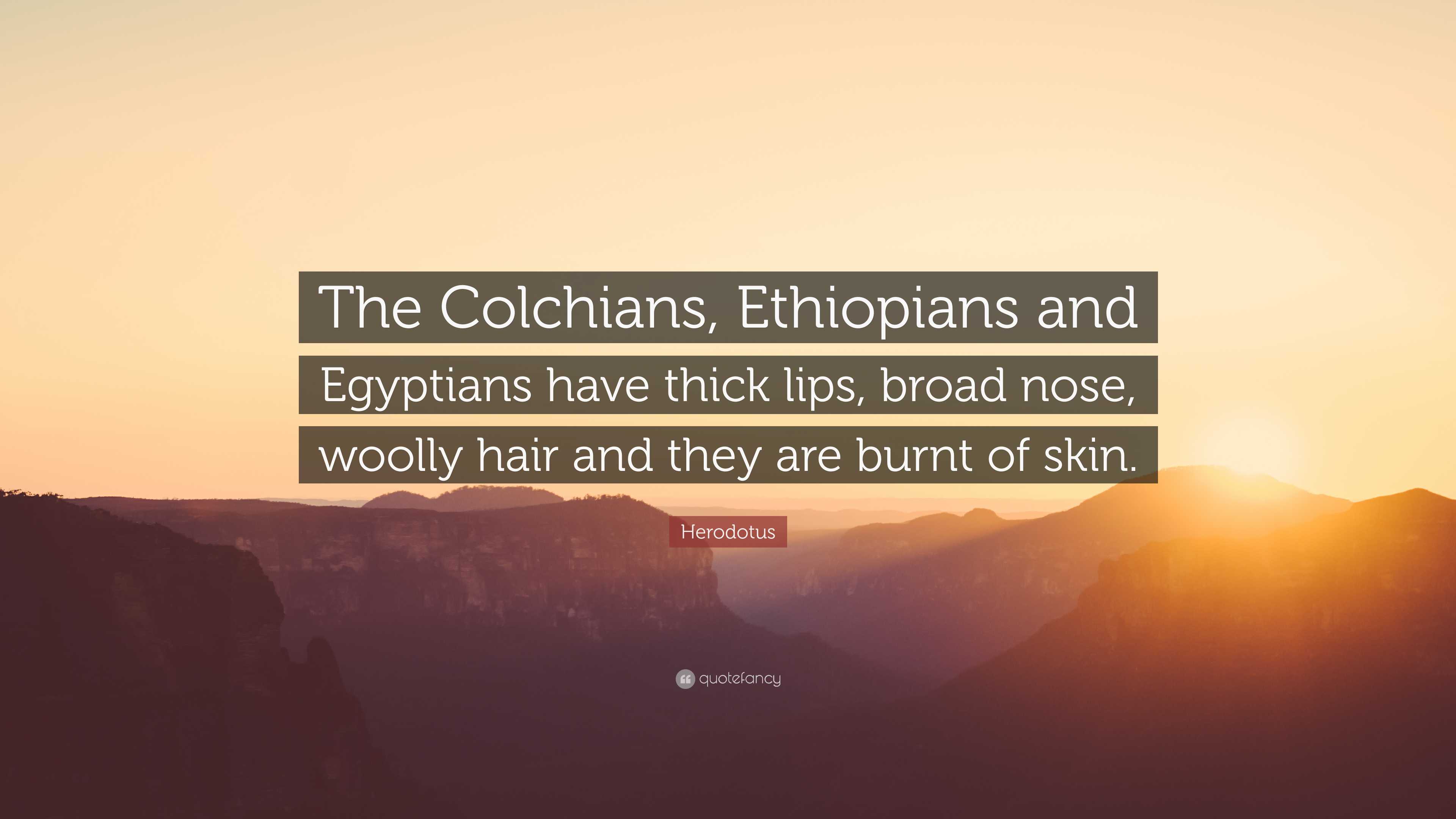 Herodotus Quote: “The Colchians, Ethiopians and Egyptians have thick ...
