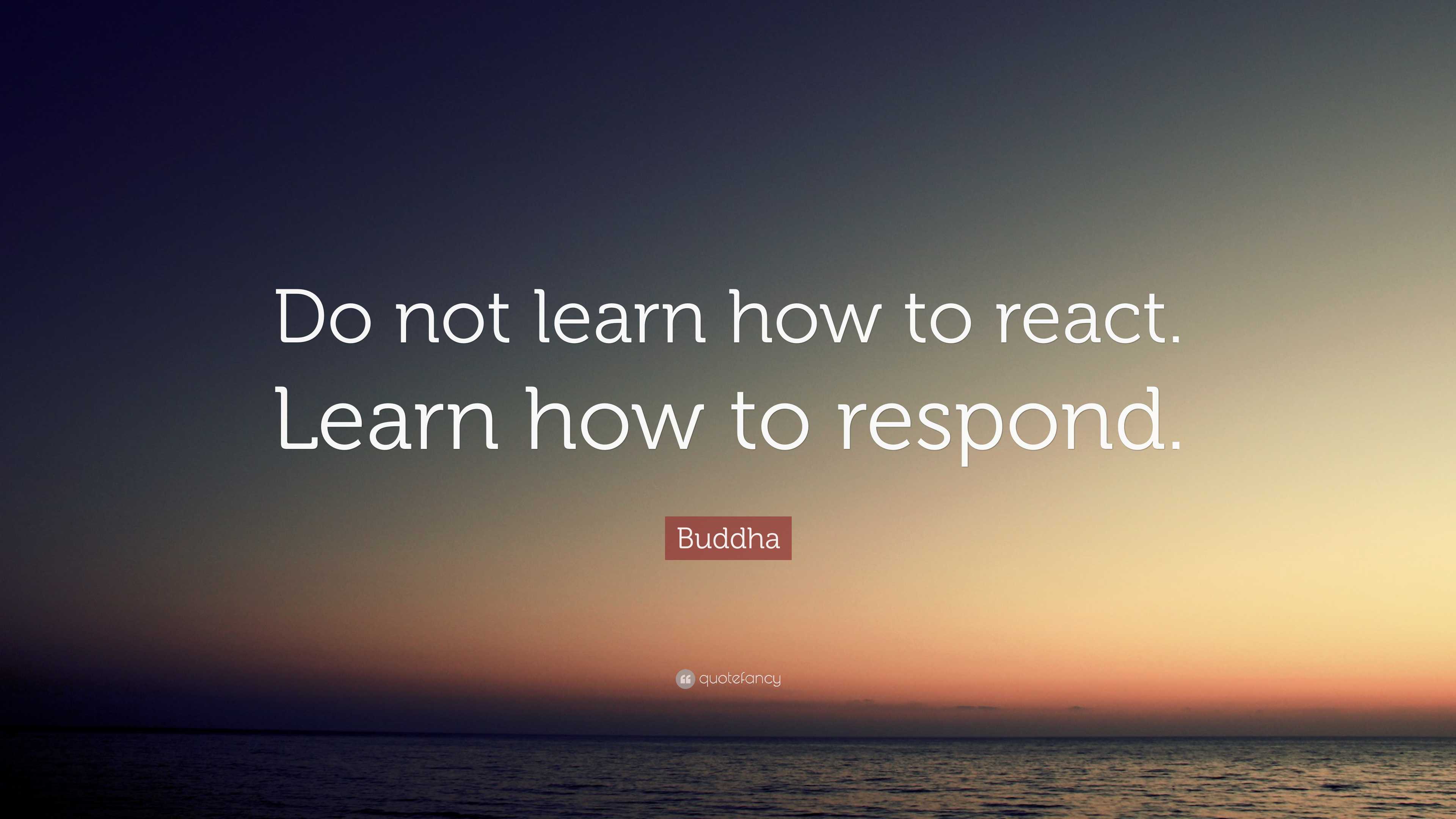Buddha Quote: “Do not learn how to react. Learn how to respond.”