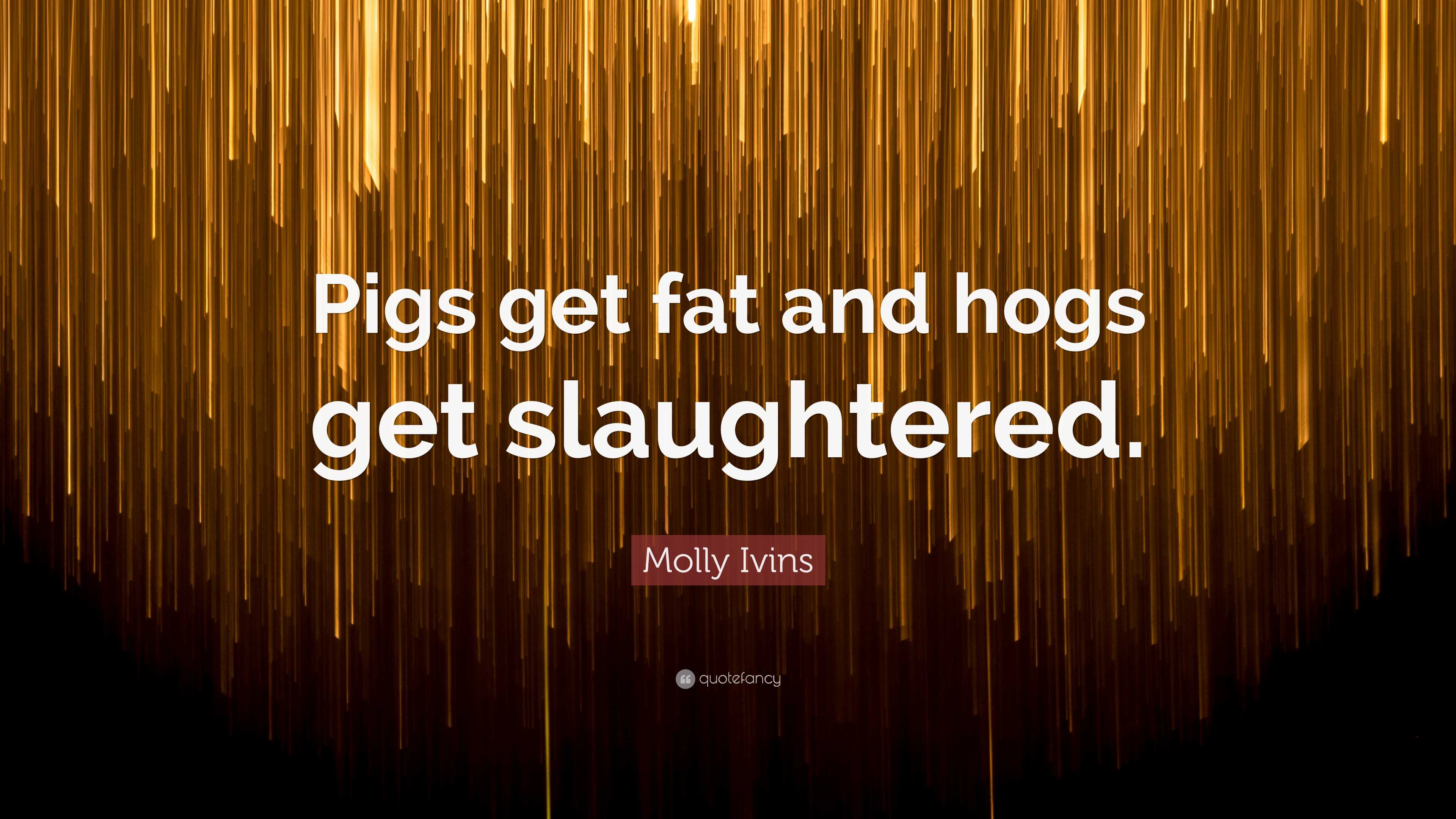 Molly Ivins Quote: “Pigs get fat and hogs get slaughtered.”