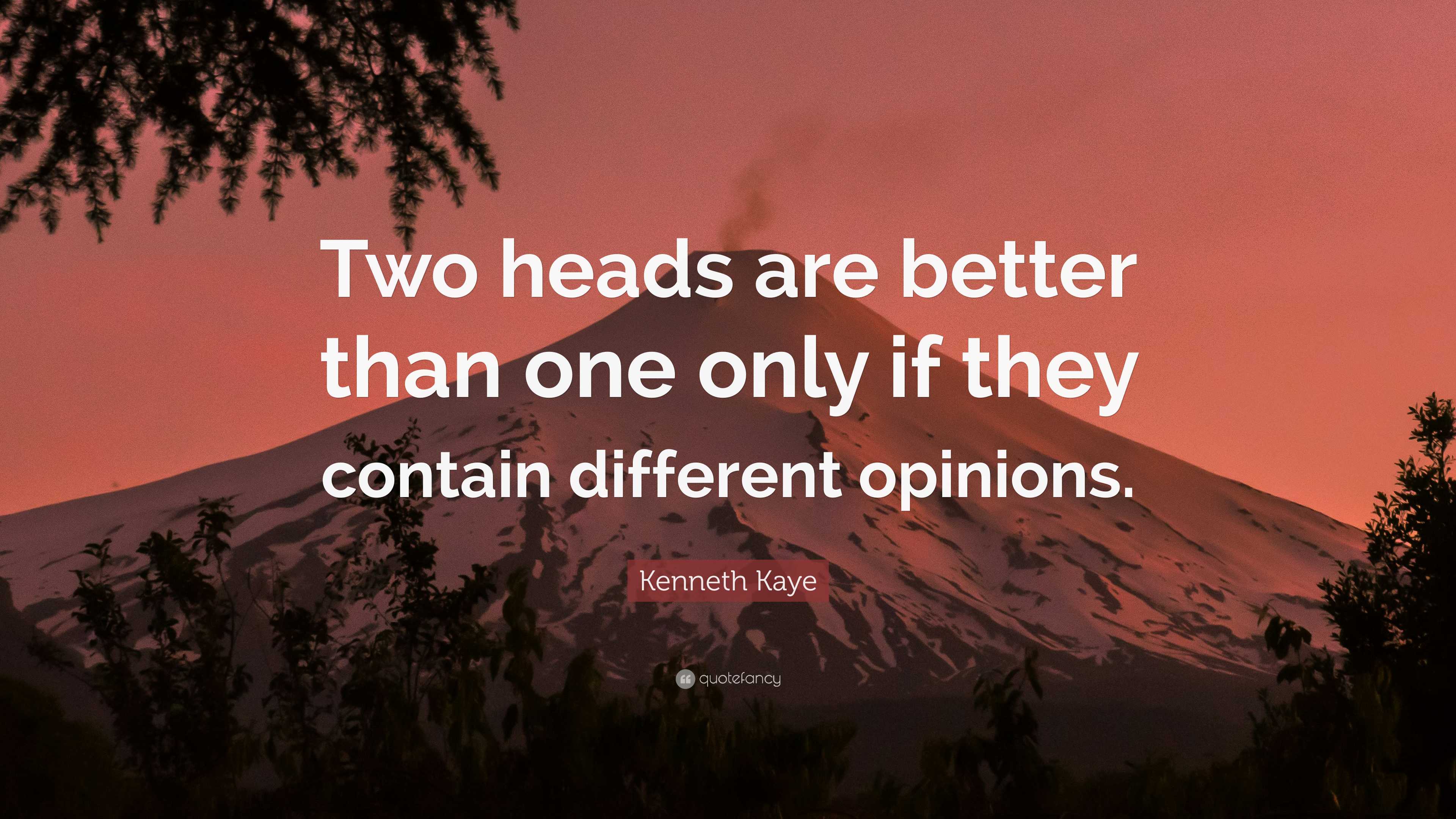 Two Heads Are Better Than One