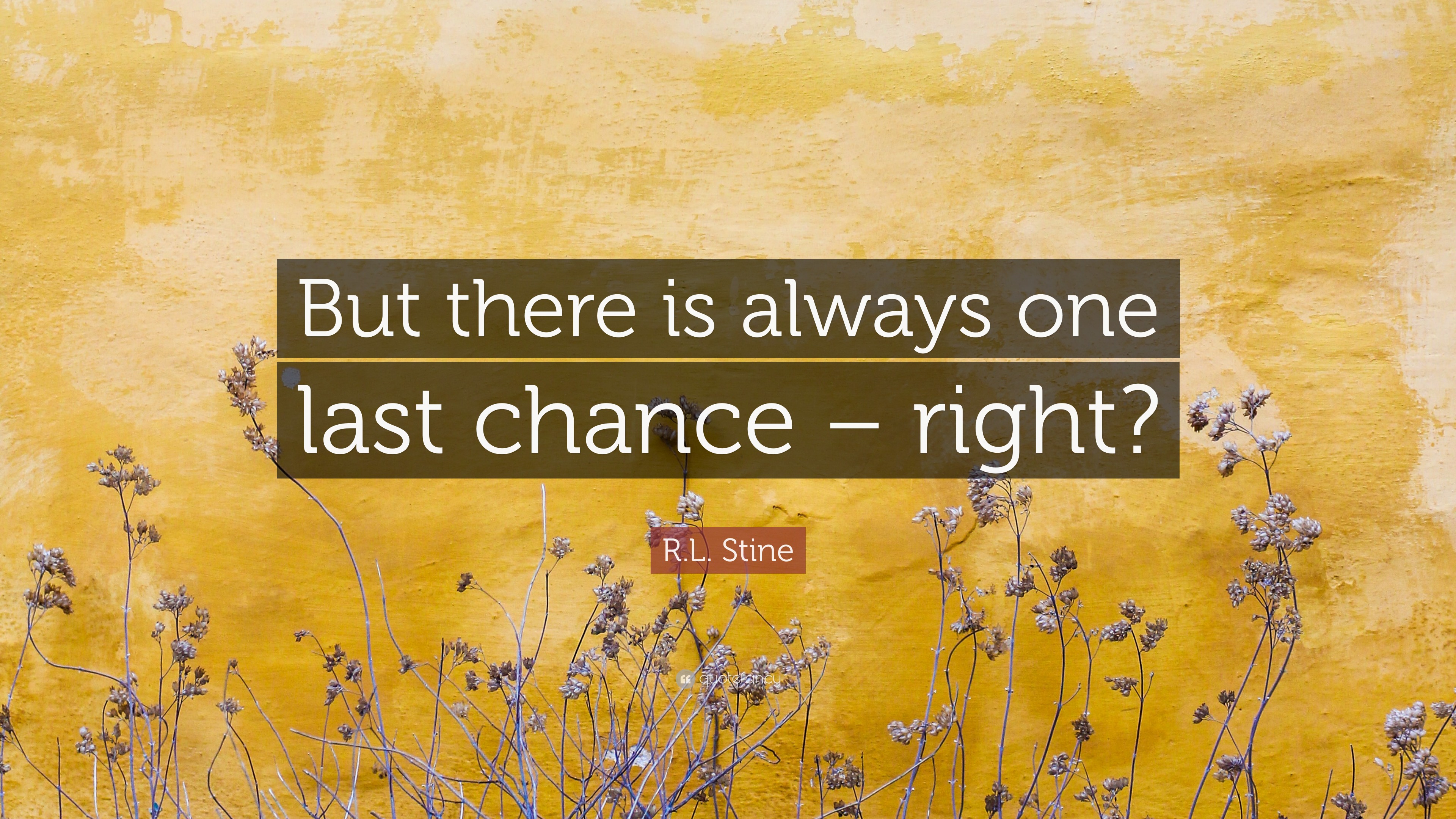 R.L. Stine Quote: “But there is always one last chance – right?”