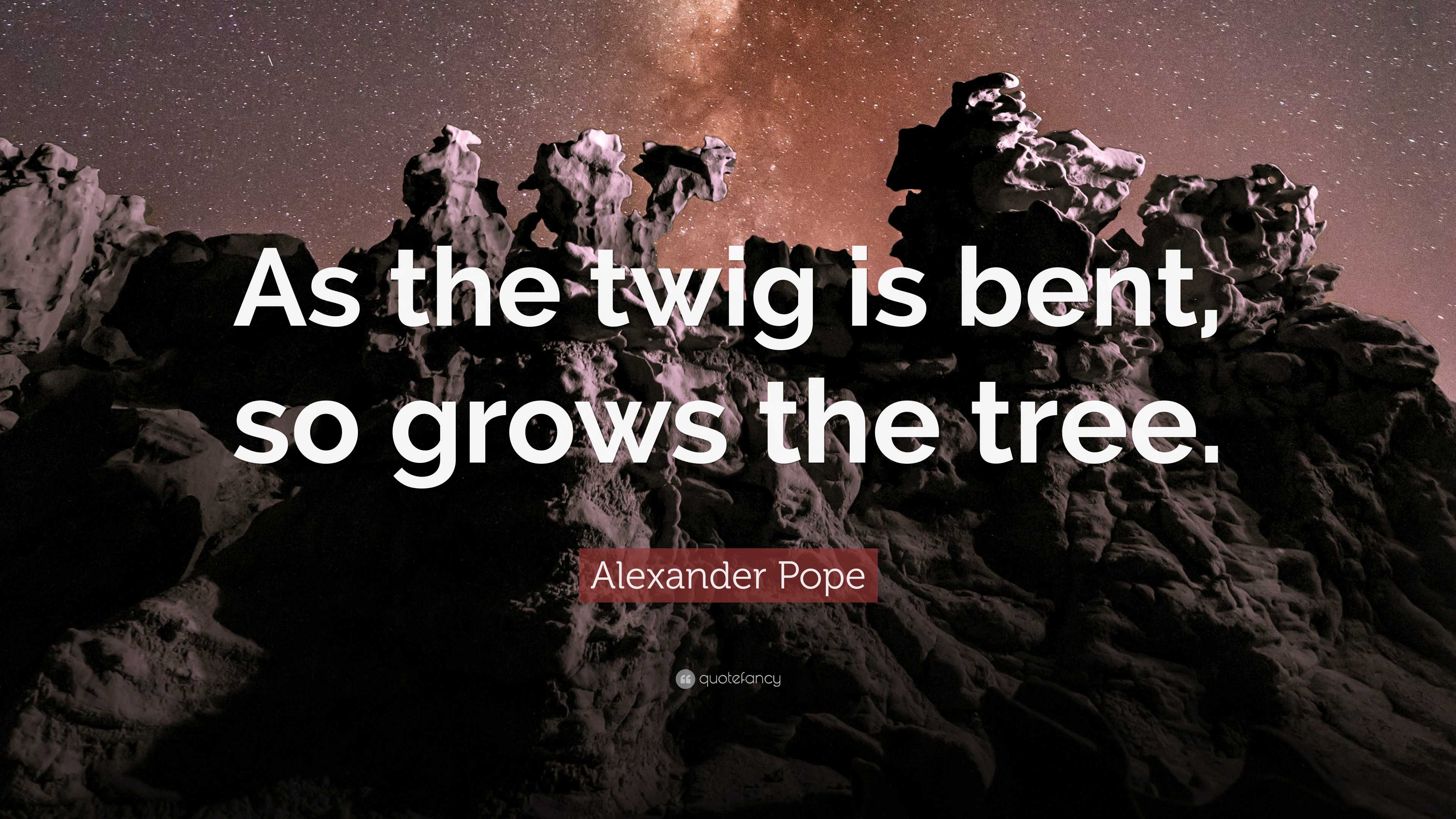 Alexander Pope Quote: “As the twig is bent, so grows the tree.”