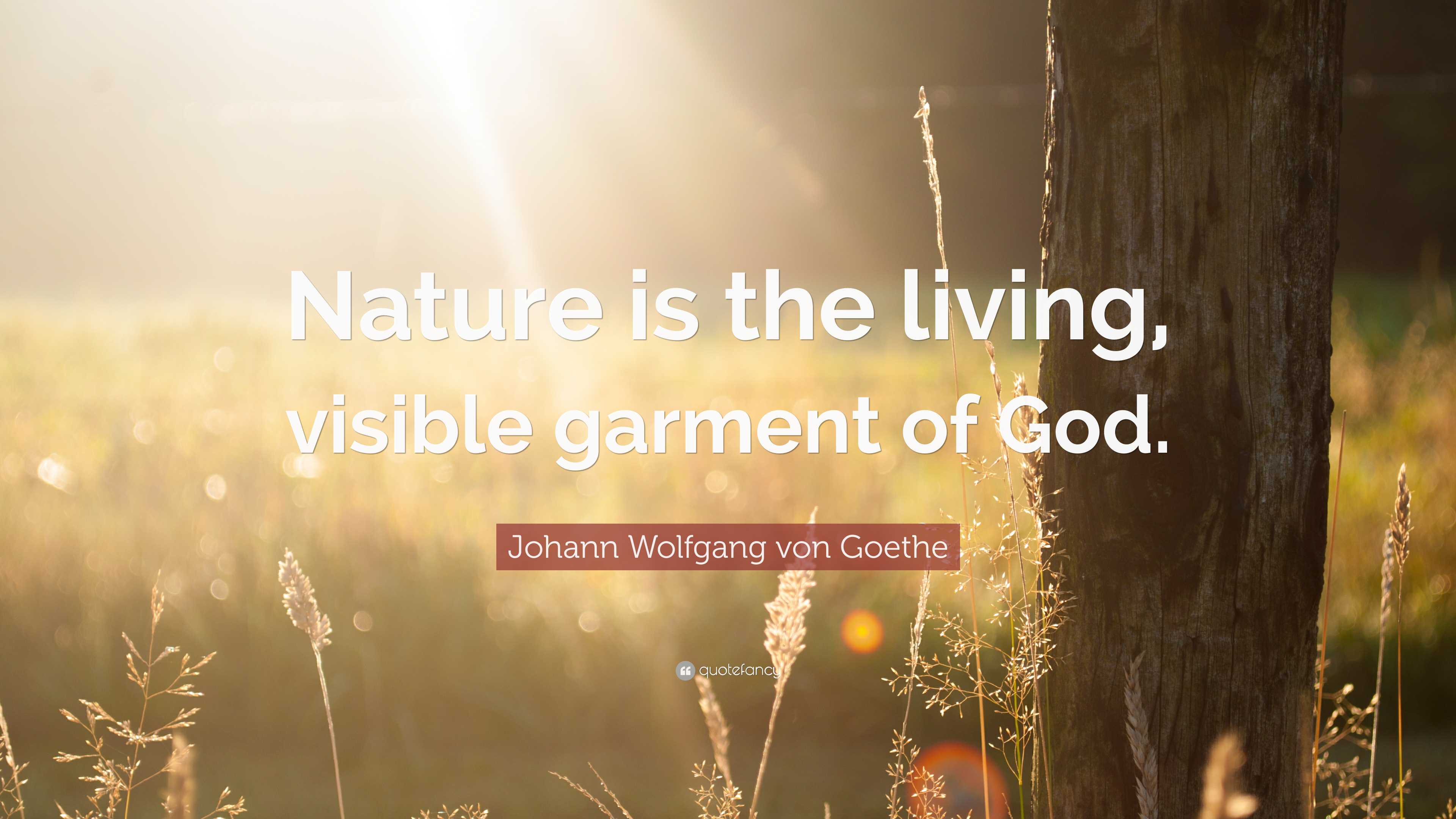 Johann Wolfgang von Goethe Quote: “Nature is the living, visible ...