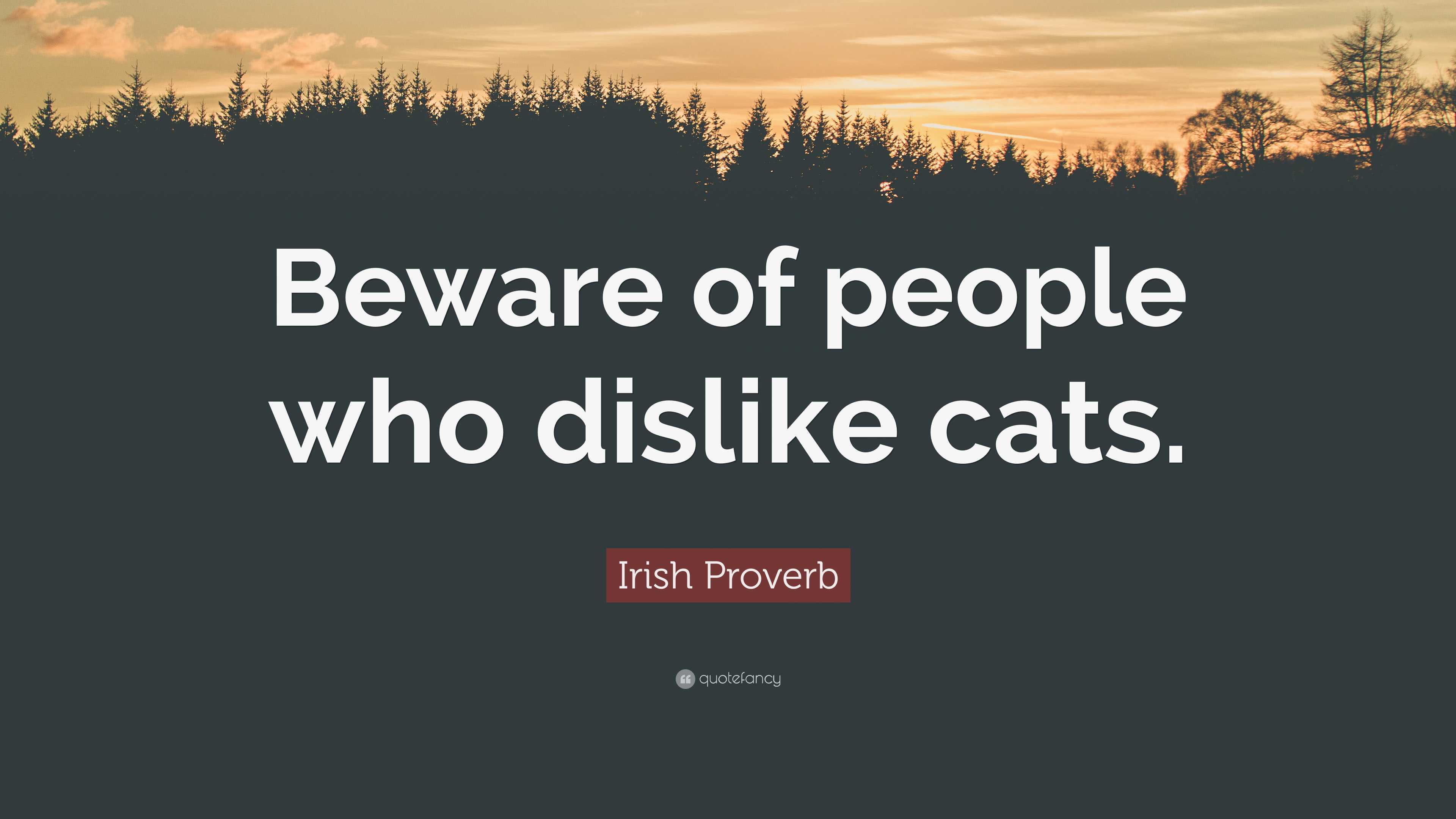 Irish Proverb Quote: “Beware of people who dislike cats.”