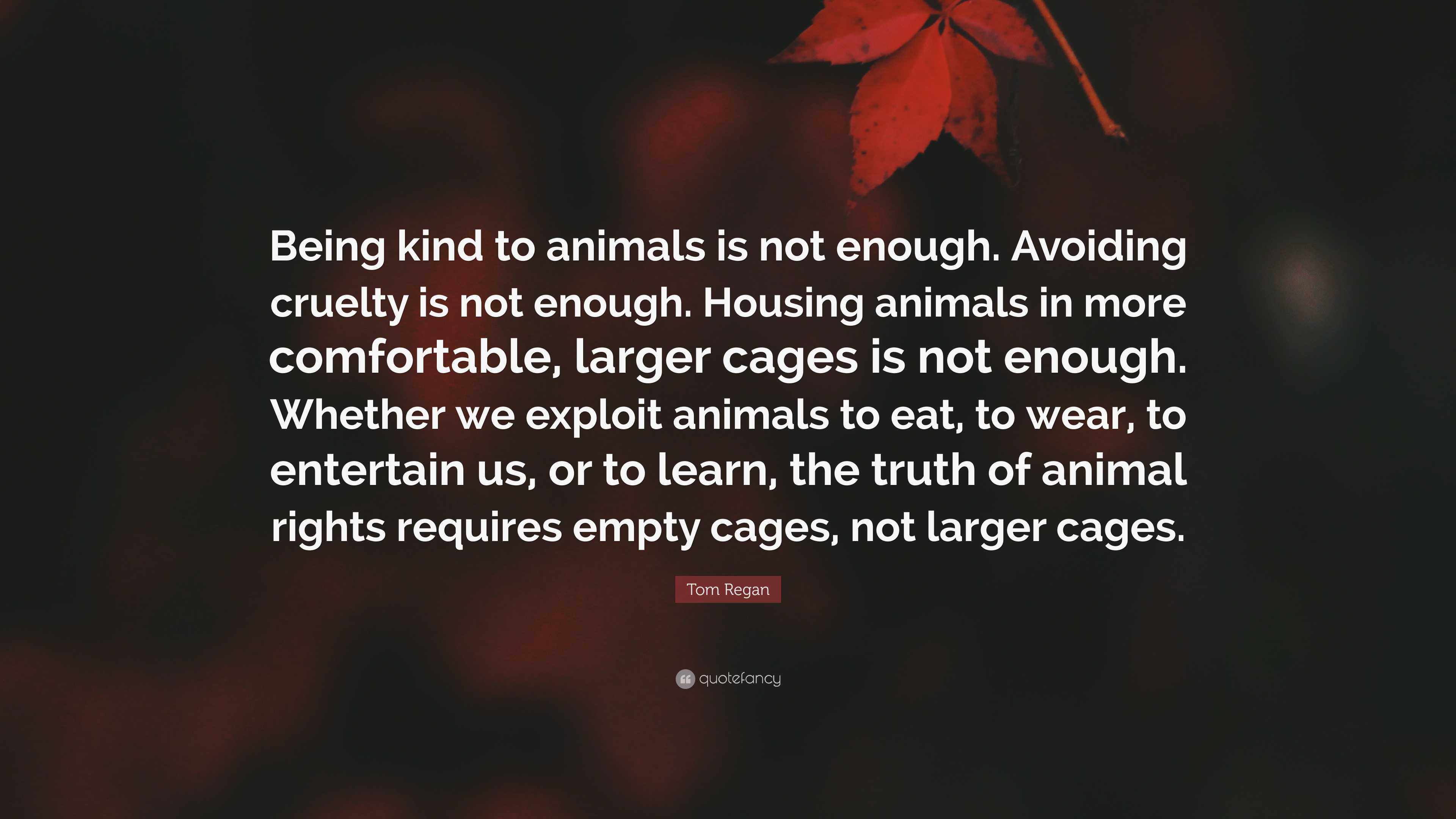 Tom Regan Quote: “Being kind to animals is not enough. Avoiding cruelty ...