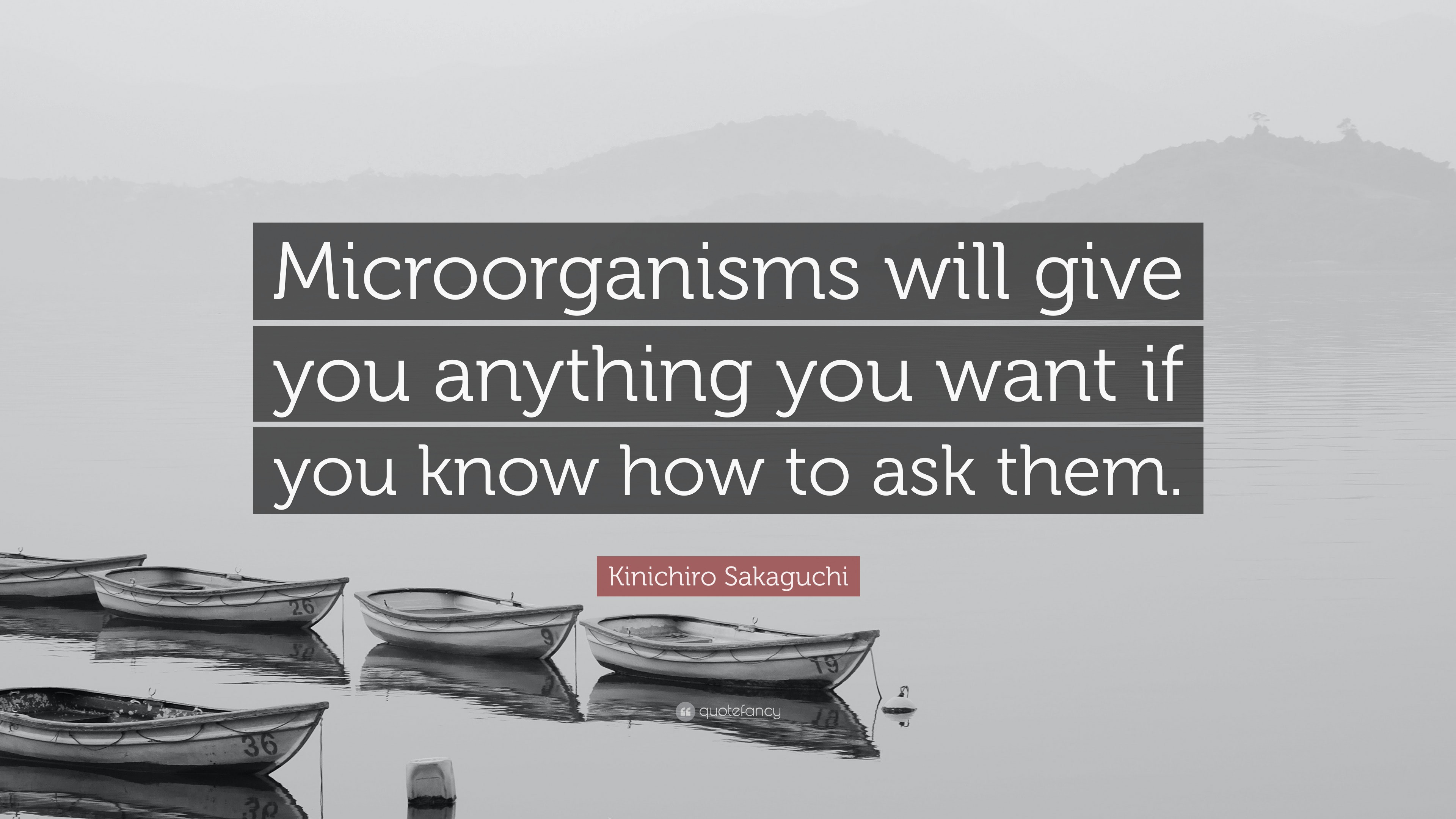 Kinichiro Sakaguchi Quote: “Microorganisms will give you anything you ...