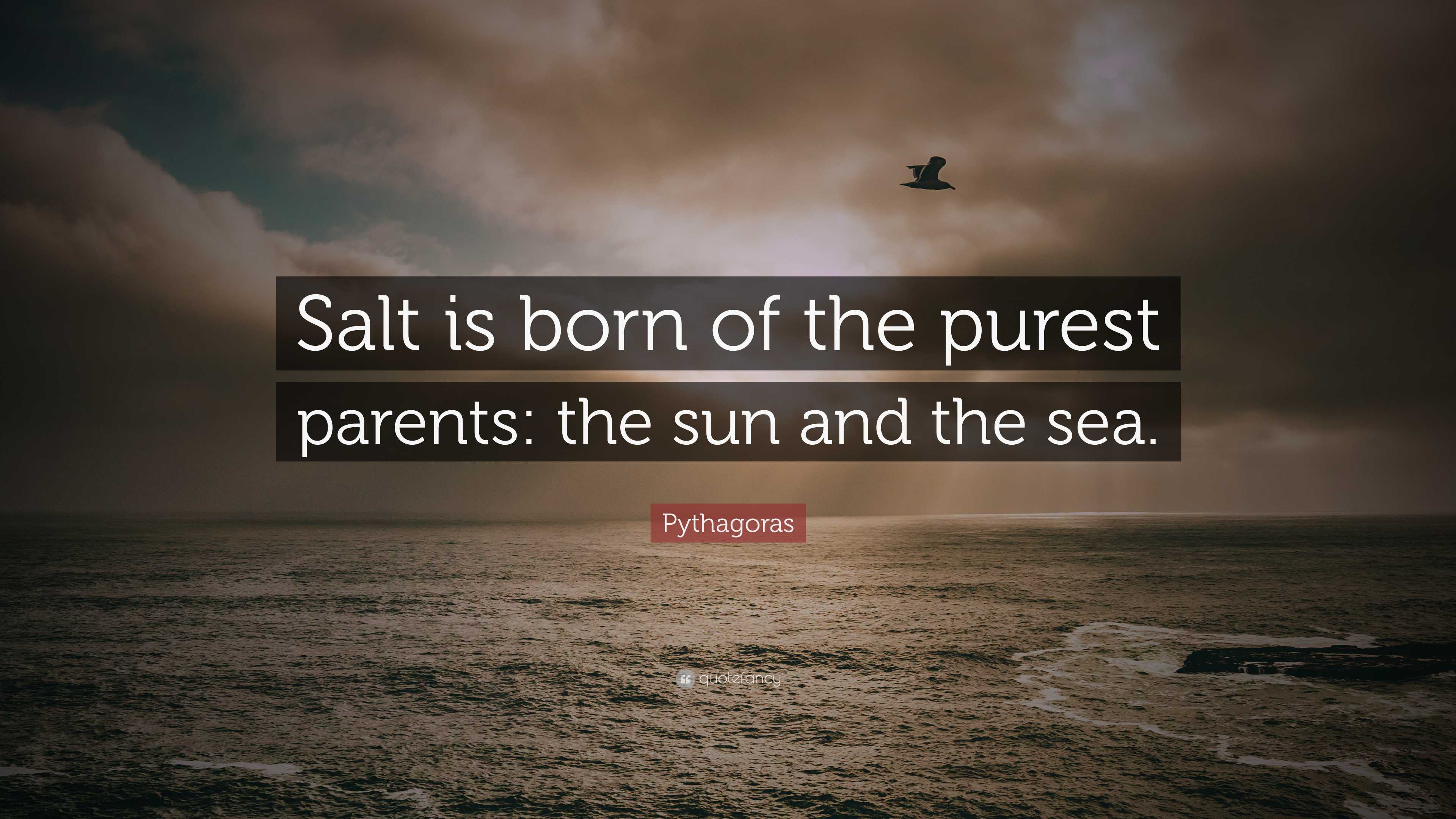 Pythagoras Quote: “Salt is born of the purest parents: the sun and the ...