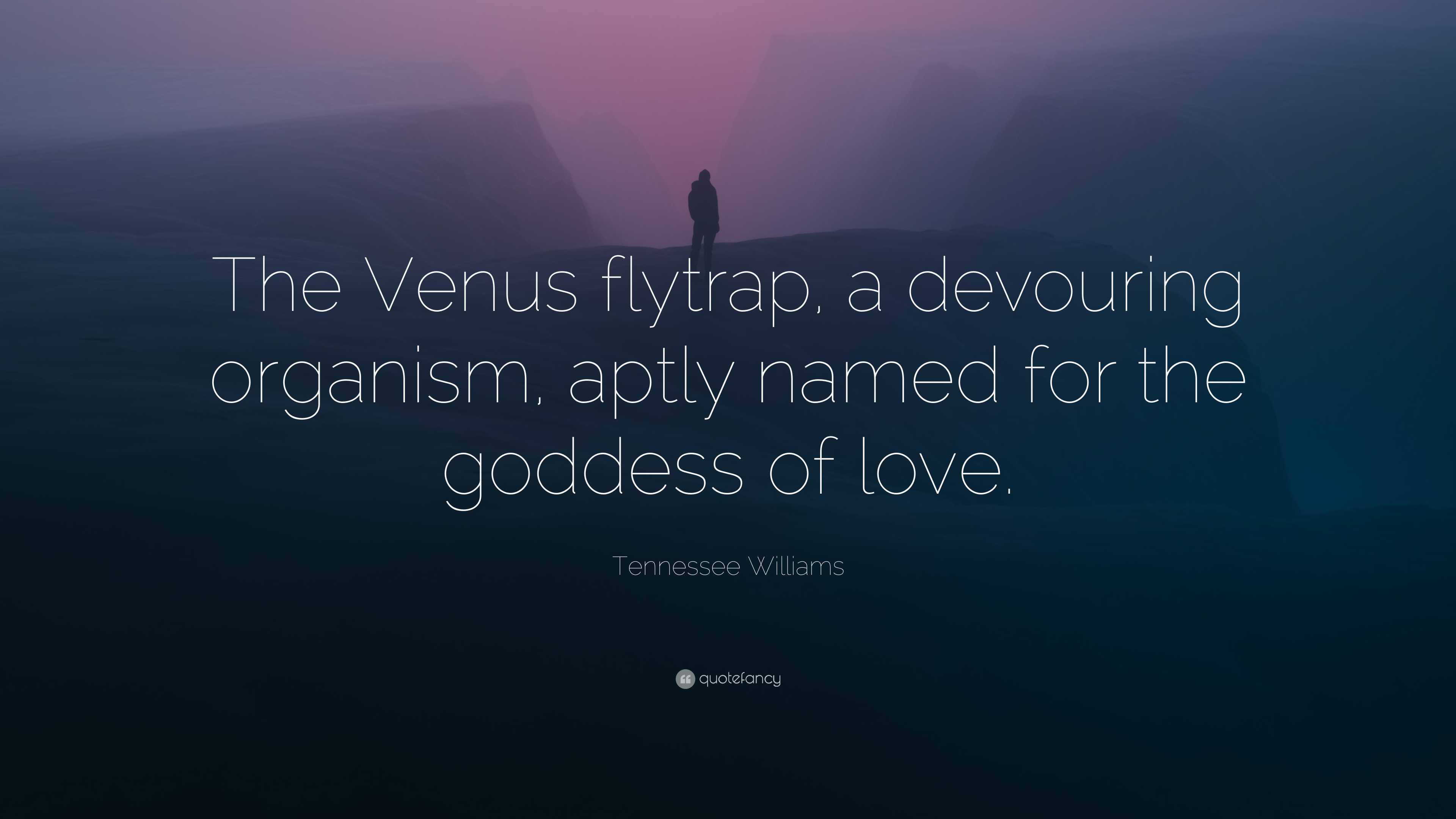Venus Fly Trap Quotes To A Venus' Flytrap To A Venus' Flytrap Poem