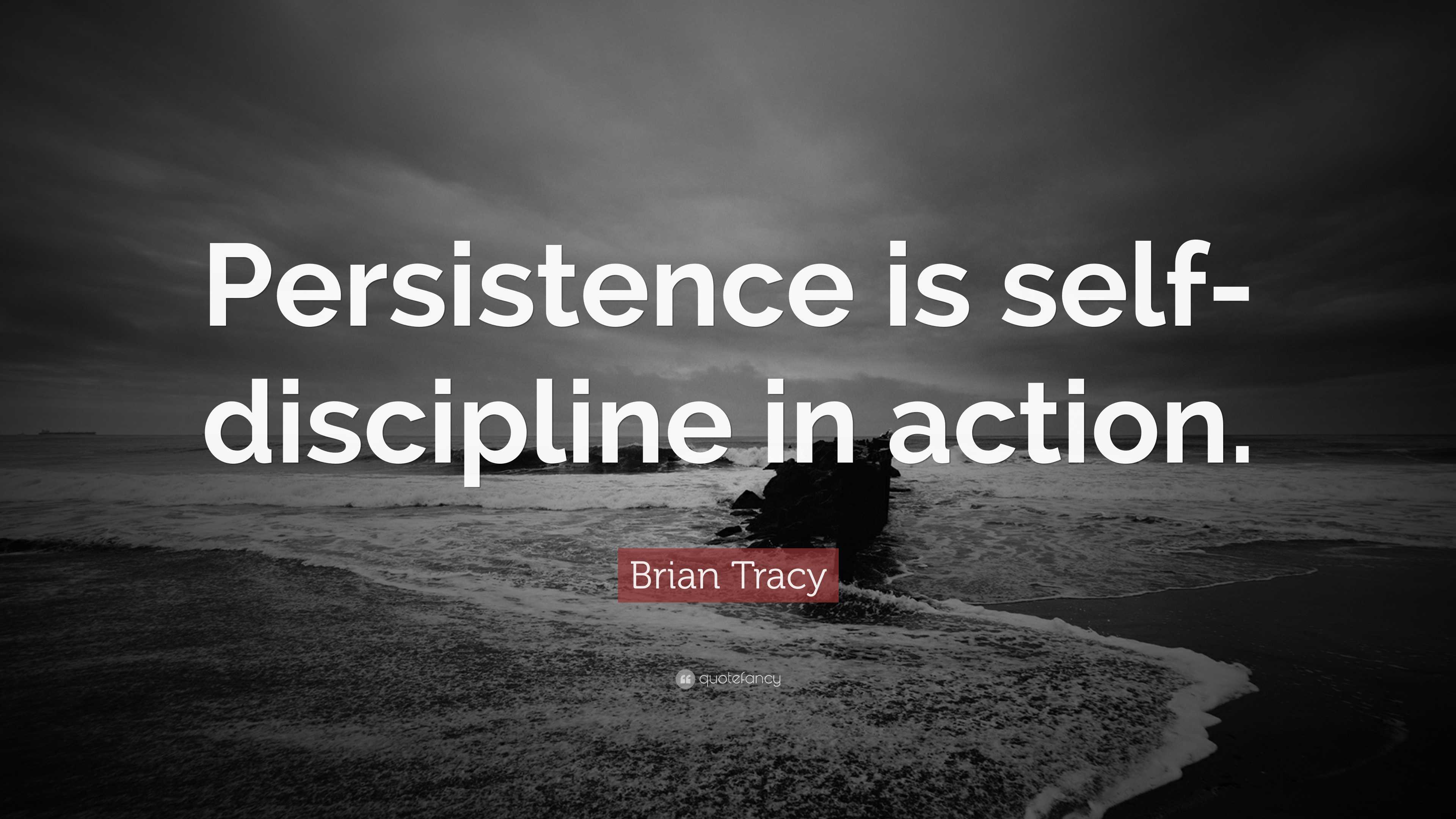 Brian Tracy Quote: “Persistence is self-discipline in action.”