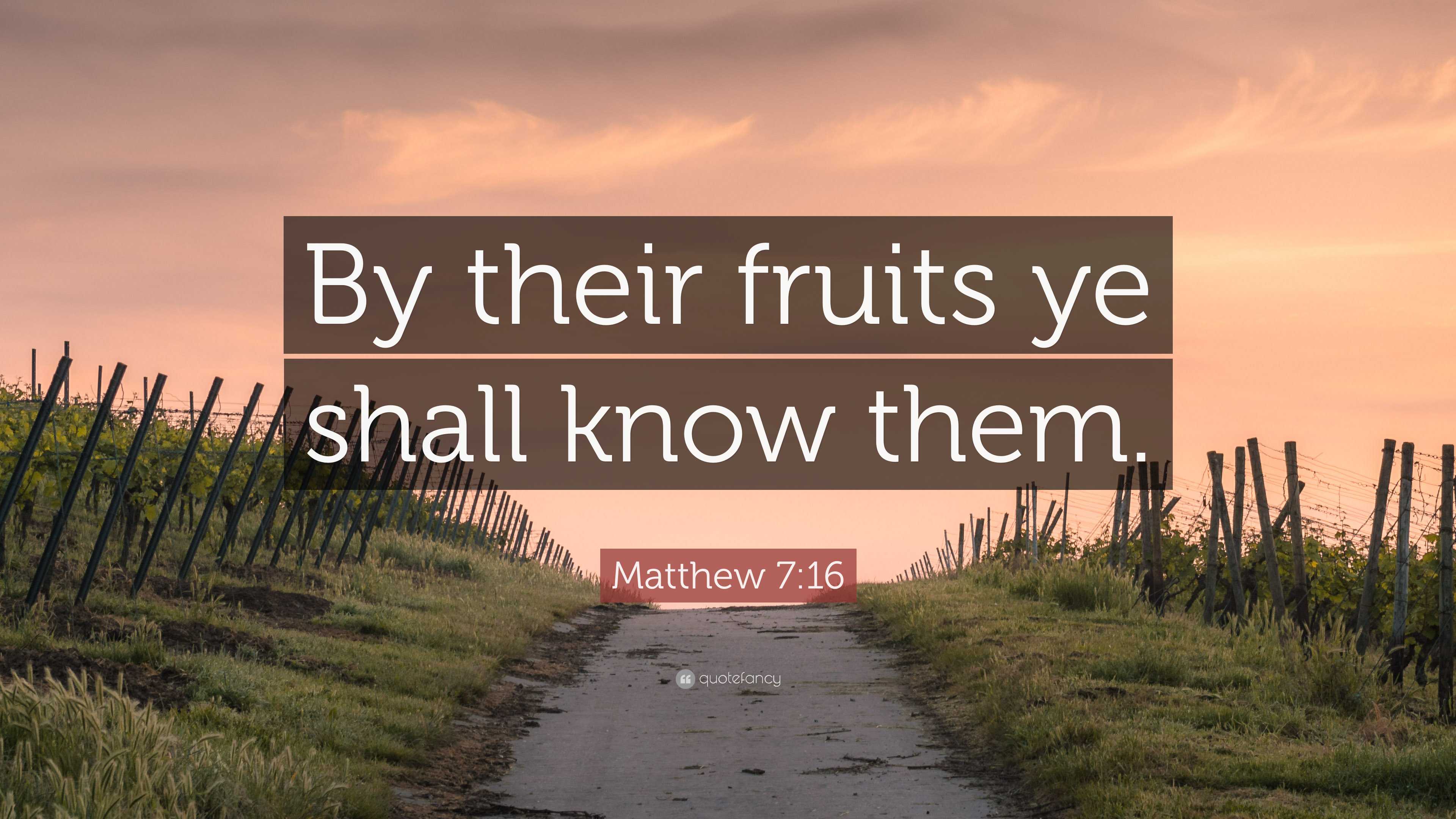 Matthew 7:16 Quote: “By their fruits ye shall know them.”